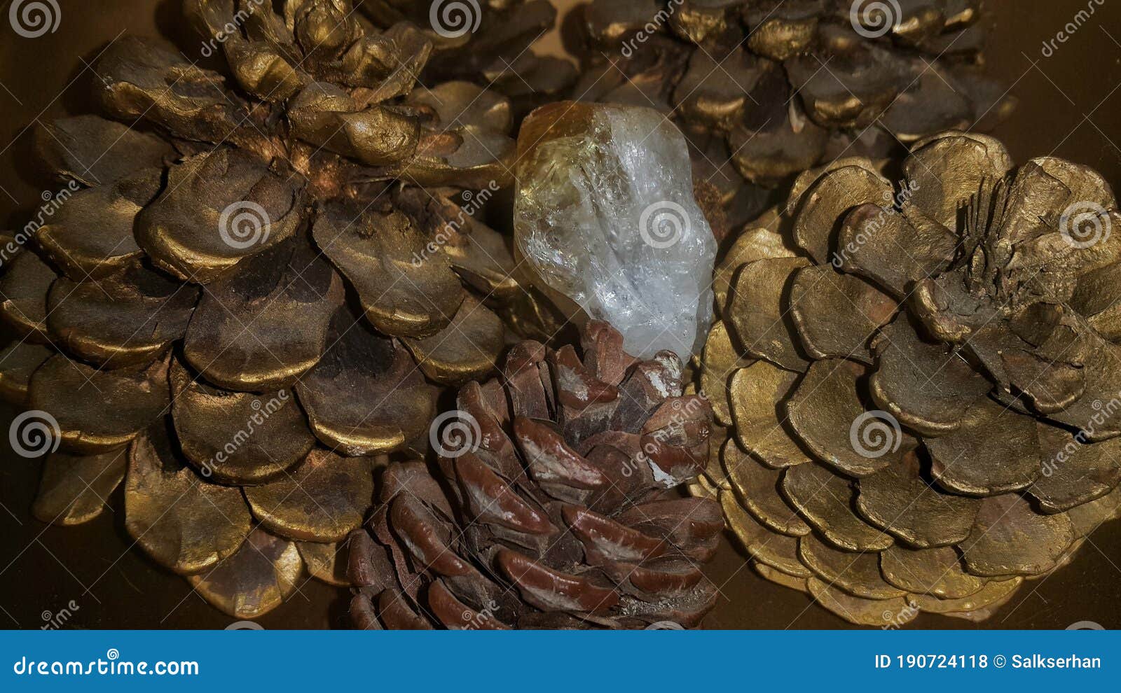 A Natural Stone among Pine Cones Stock Photo - Image of gold, cones ...