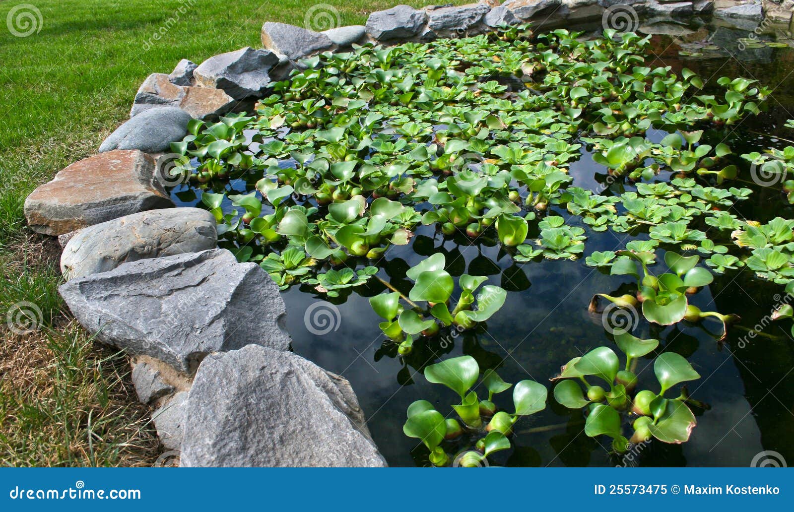 Natural stone pond stock image. Image of relaxation, decoration - 25573475