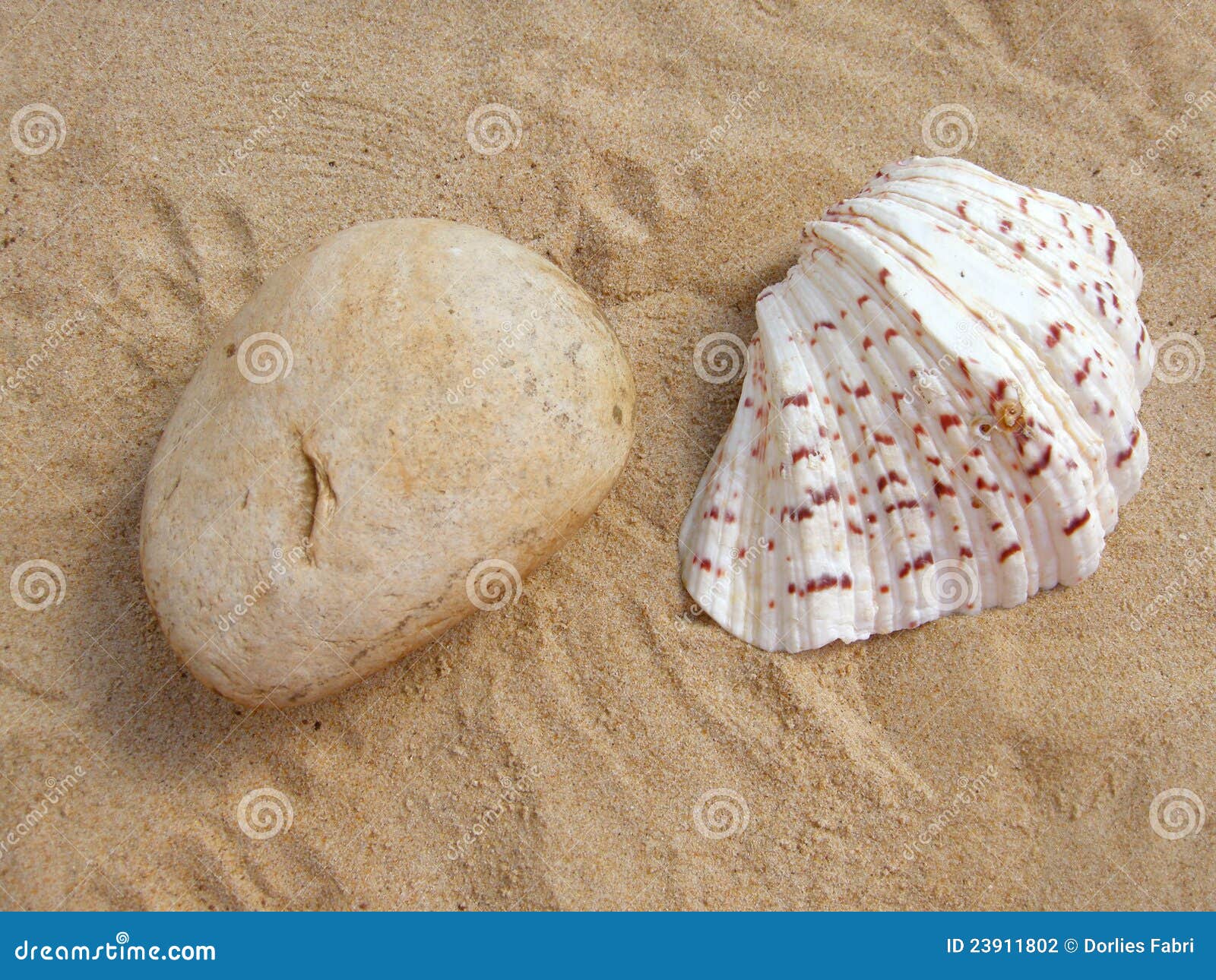 Natural stone and shell stock photo. Image of holiday - 23911802