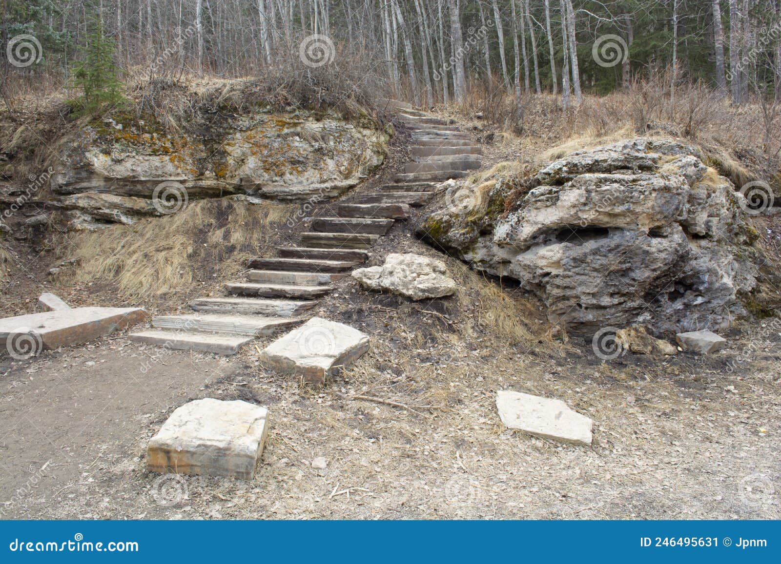 Natural Stone Steps in Nature Park Forest Stock Image - Image of rock ...