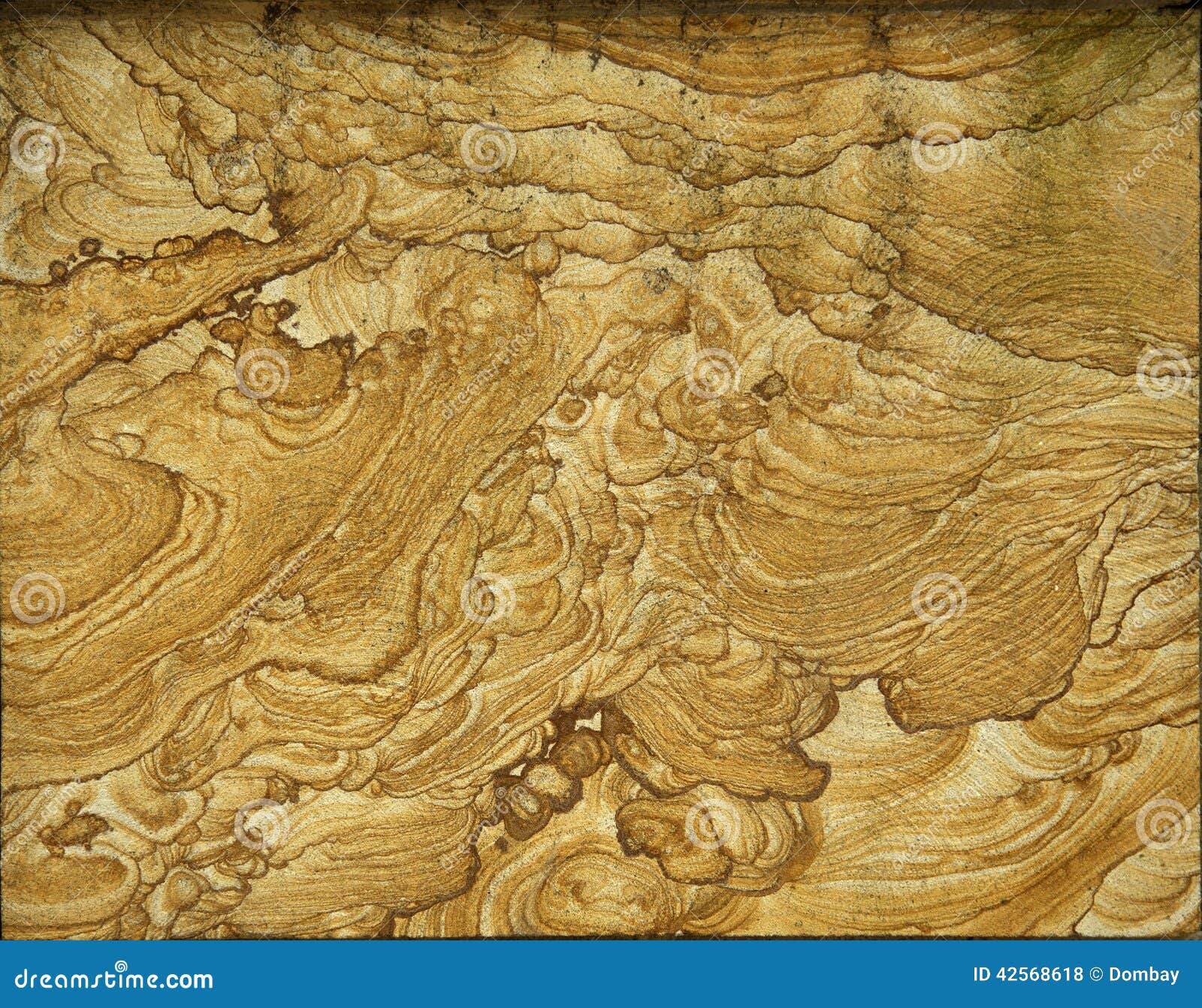 Natural stone surface stock photo. Image of background - 42568618