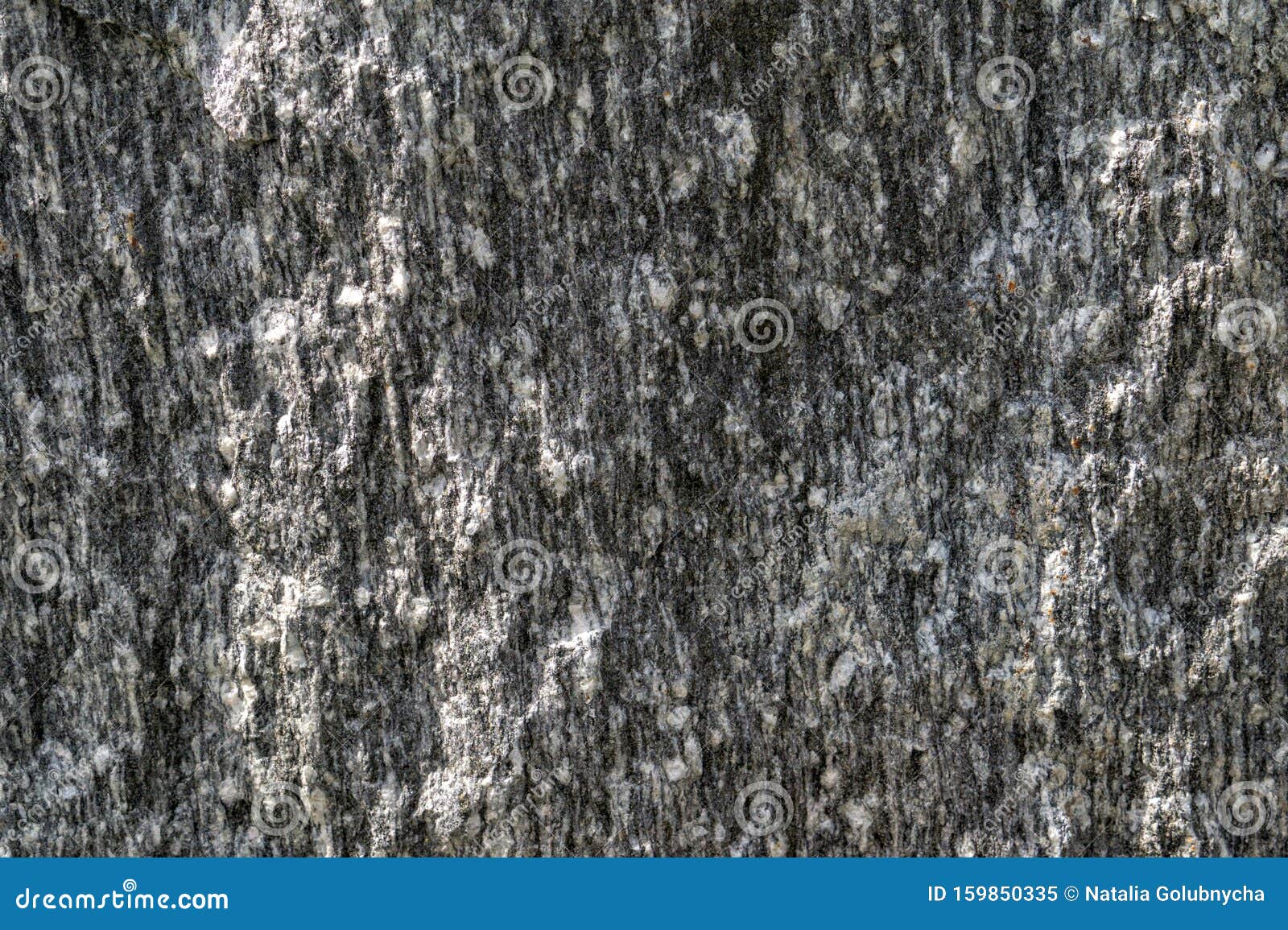 Stone Texture. Gneiss Large Solid Stock Image - Image of rock, decor ...