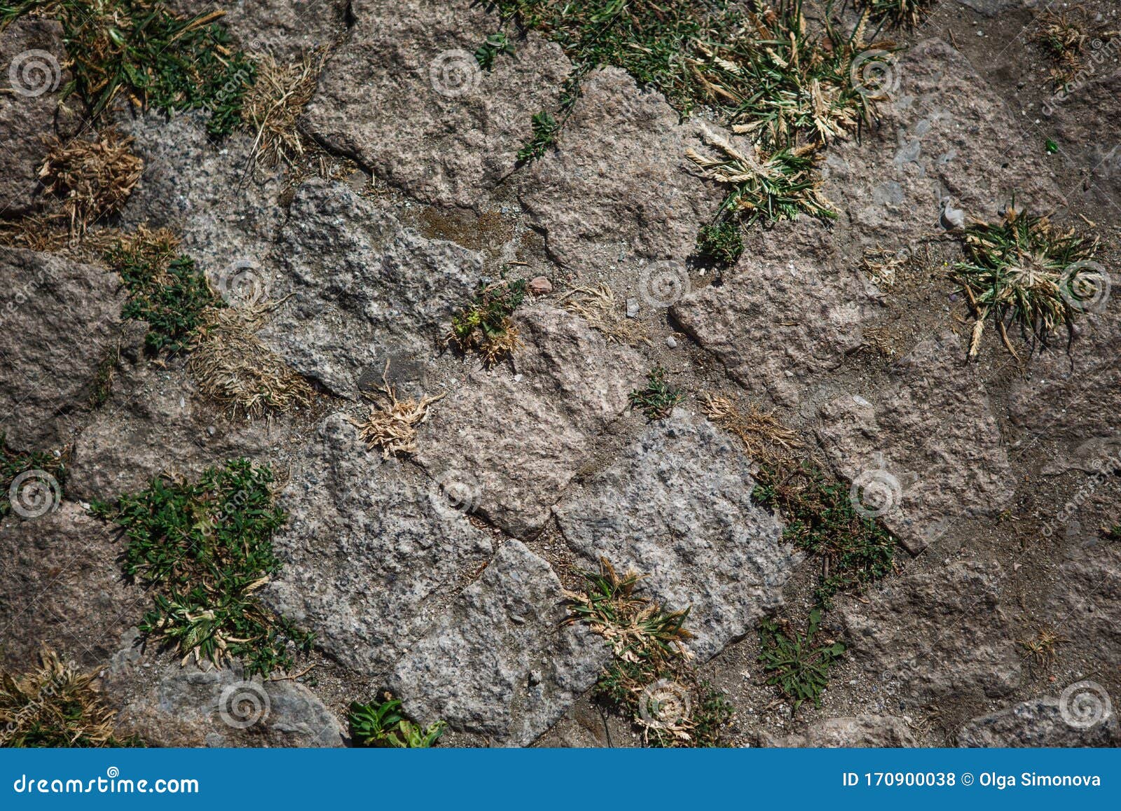Natural Stone Texture with Moss and Shadow Pattern. Stock Photo - Image ...