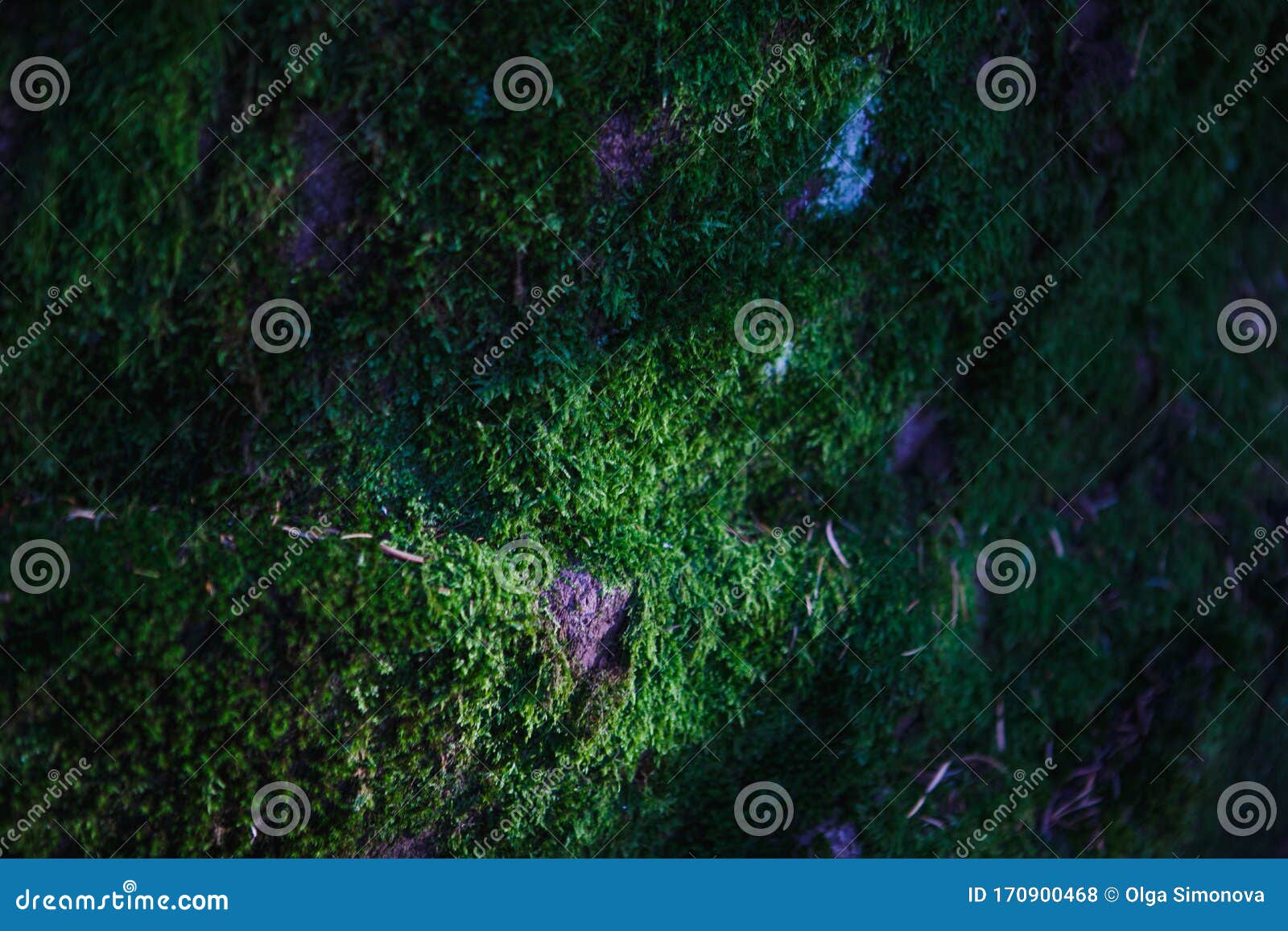 Natural Stone Texture with Moss and Shadow Pattern. Stock Photo - Image ...