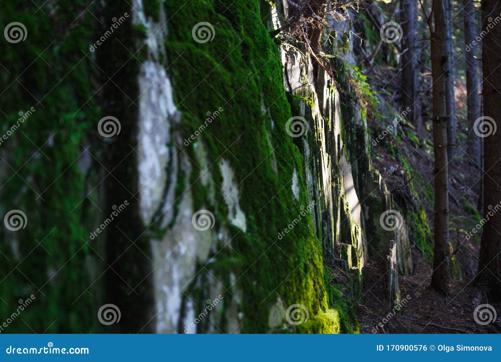 Natural Stone Texture with Moss and Shadow Pattern. Stock Photo - Image ...