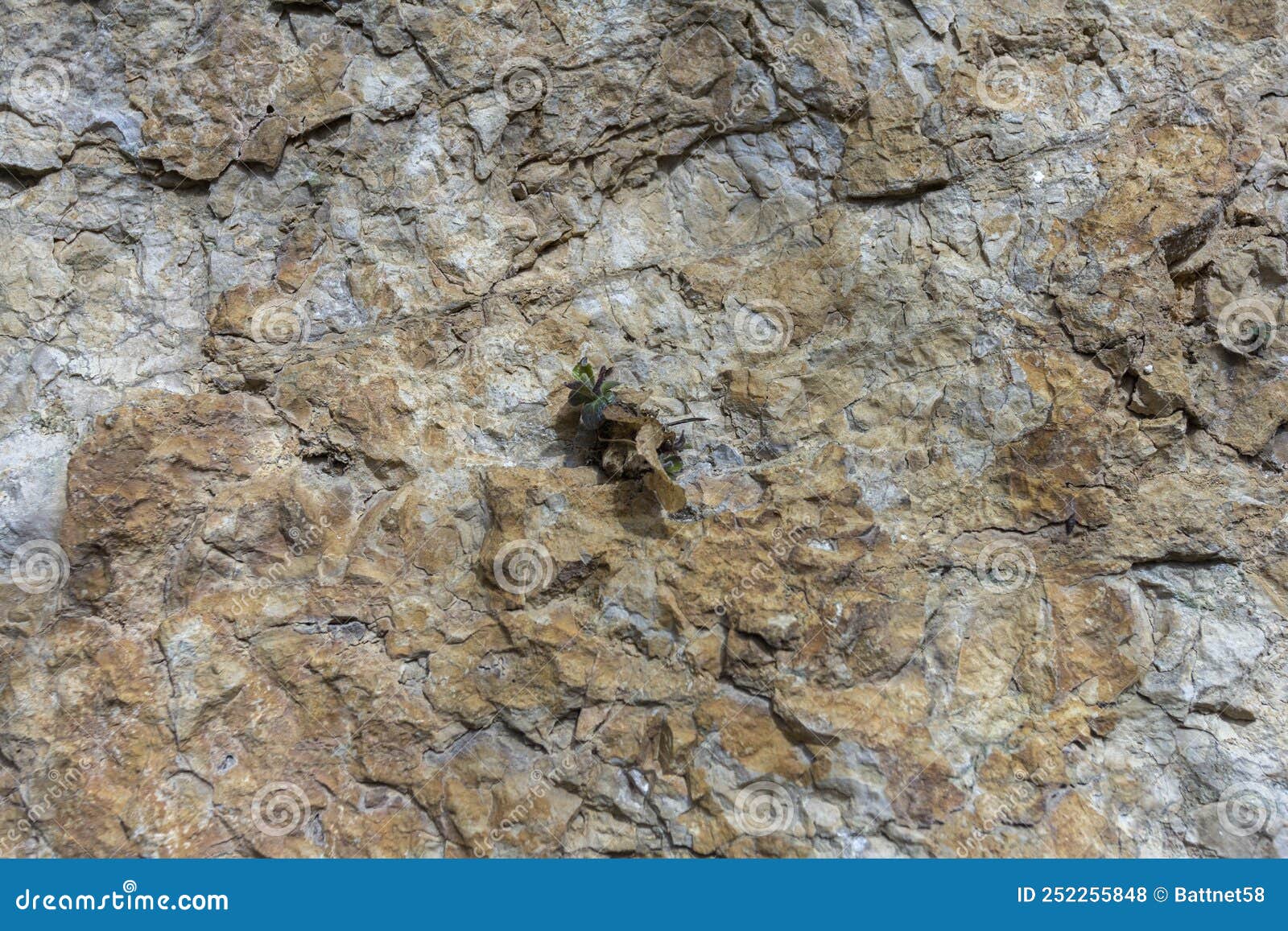 ``Natural Natural Stone, the Texture of Which is Often Used for ...