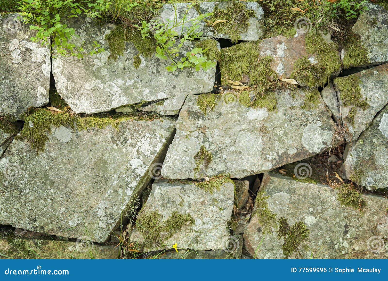 Natural Stone Wall Backdrop Stock Photo - Image of abstract, garden ...