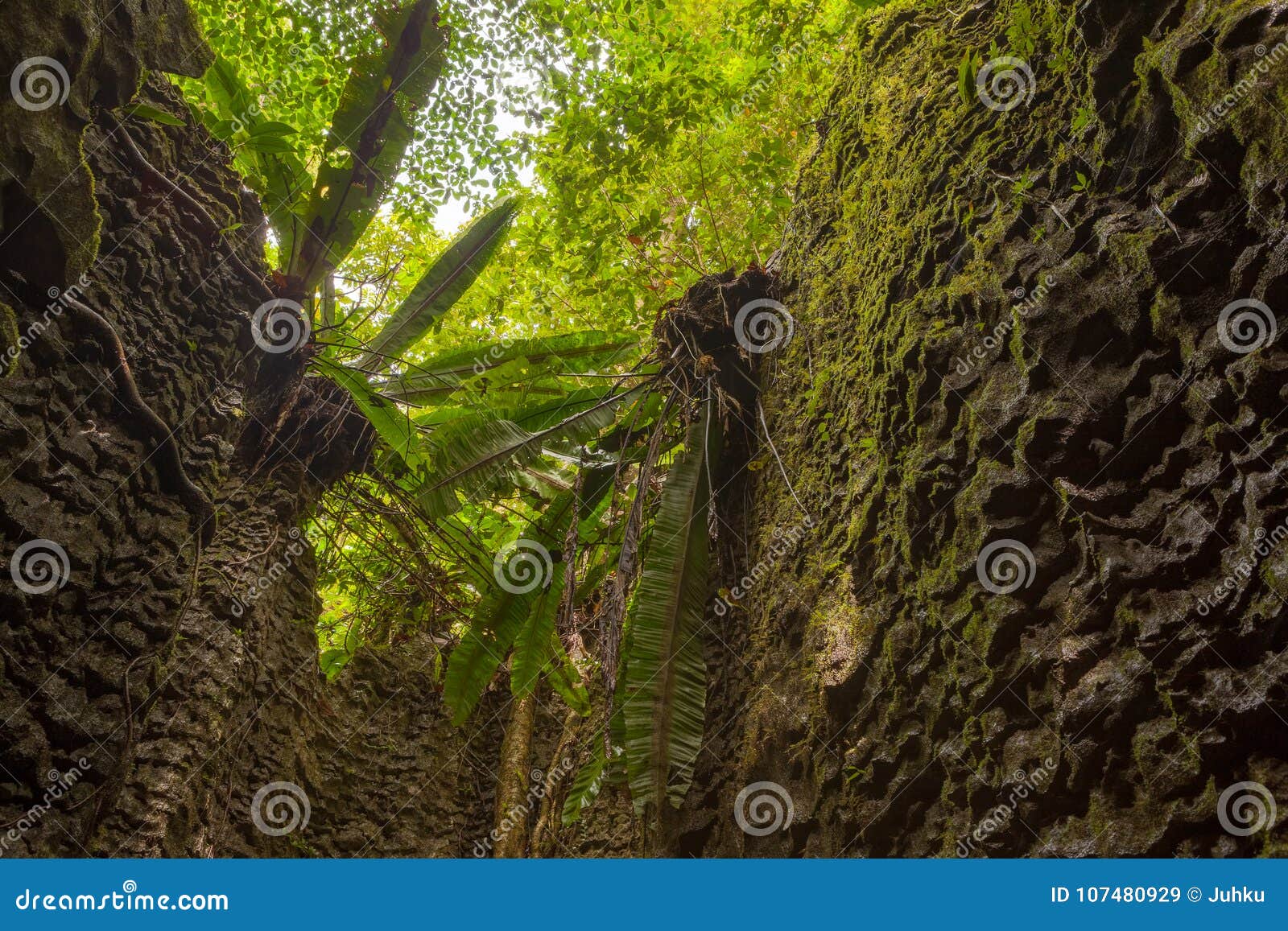 Natural stone wall stock image. Image of borneo, asia - 107480929