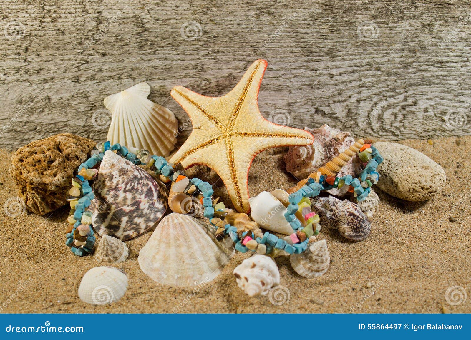 Natural Stones Necklace and Sea Objects Composition. Stock Image ...