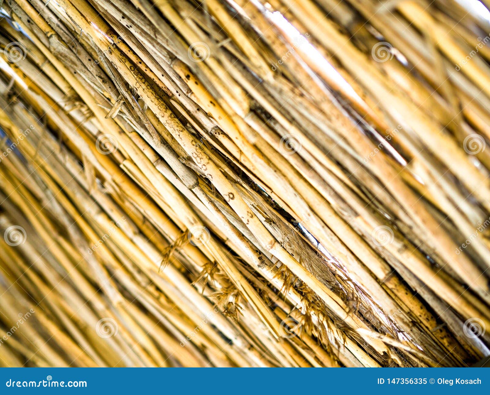 Natural Straw Closeup Texture Background Stock Image - Image of color ...