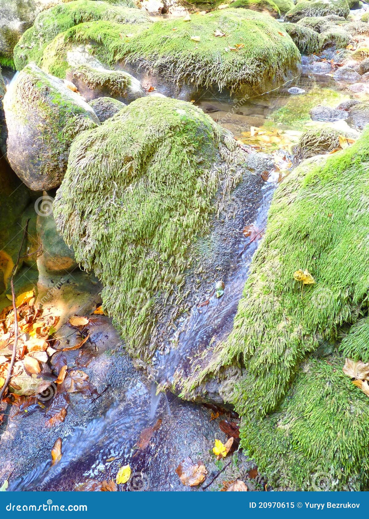 Natural stream stock image. Image of moss, river, creek - 20970615