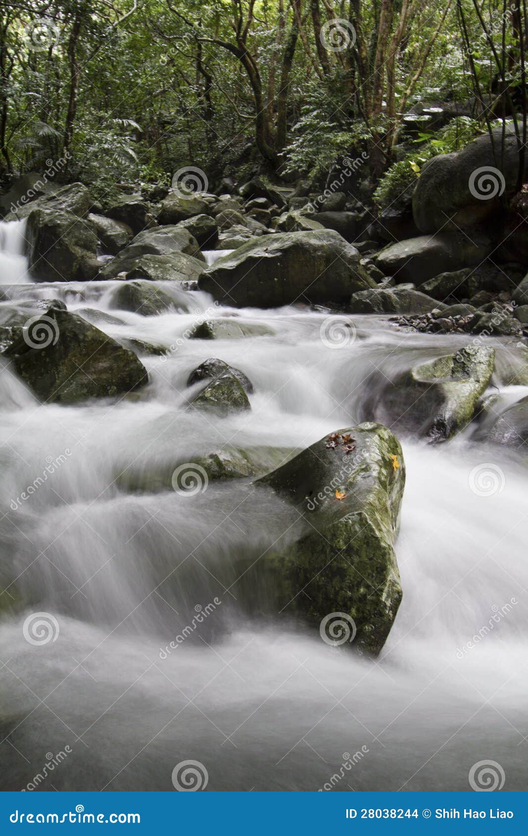 Natural stream stock photo. Image of scenic, creek, background - 28038244
