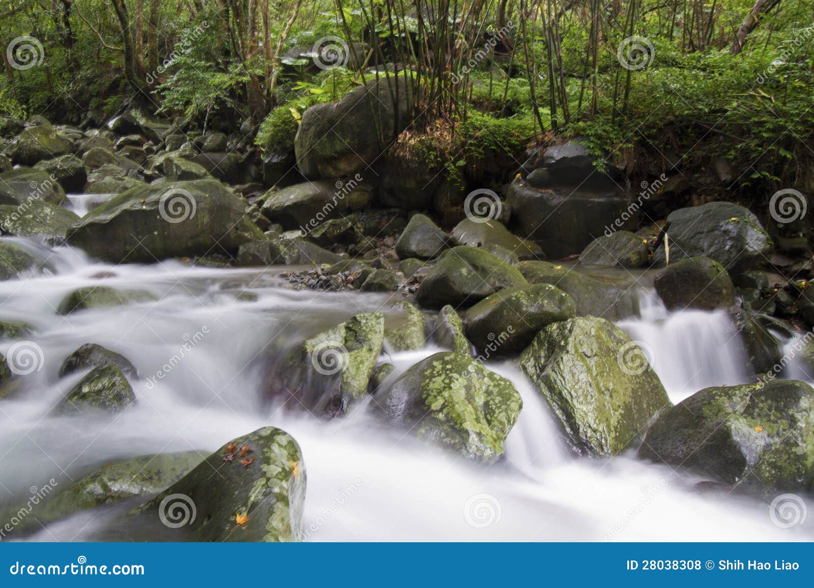 Natural stream stock photo. Image of cascade, forest - 28038308