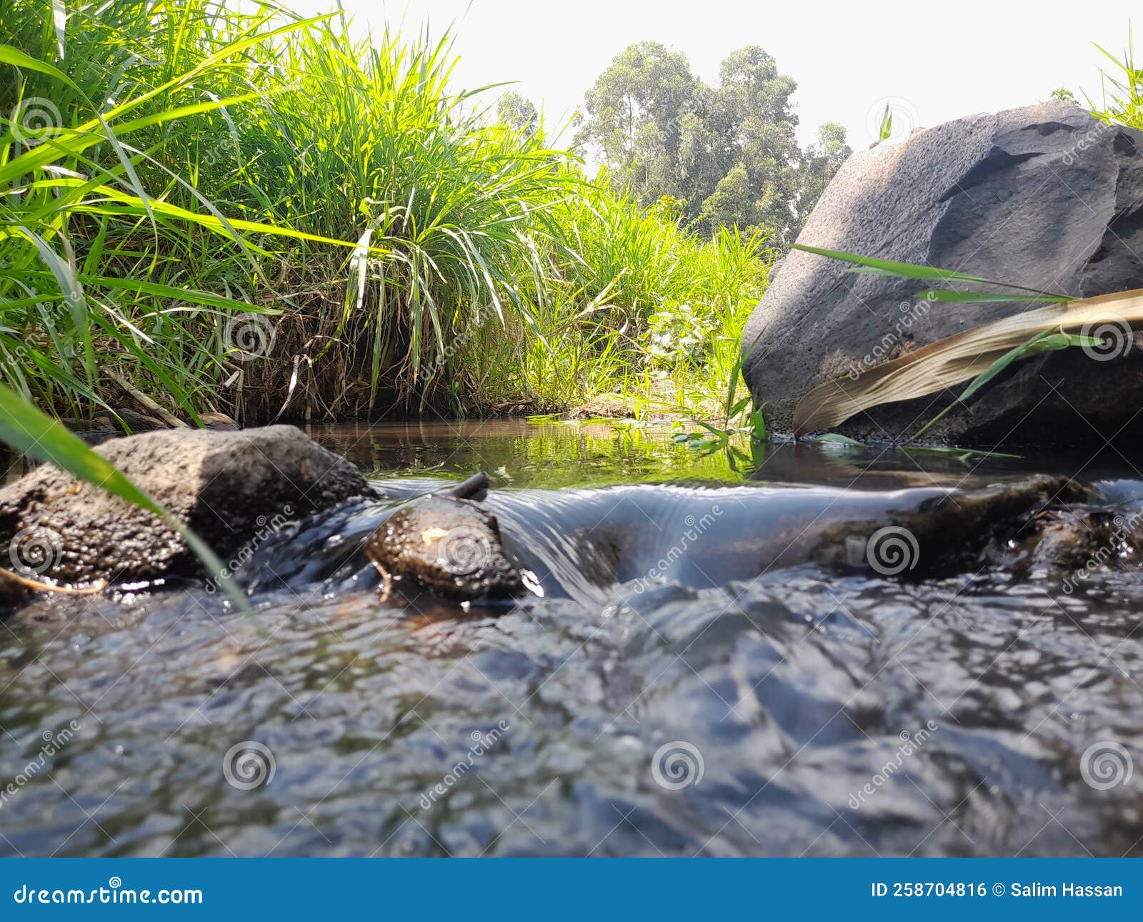 Natural stream flow stock photo. Image of flow, nature - 258704816