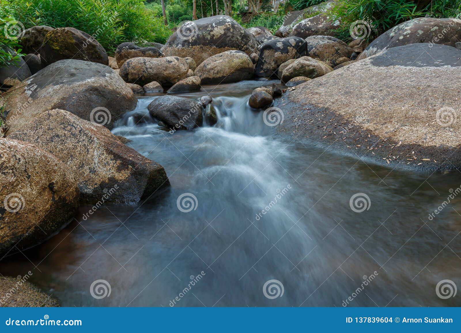 Natural stream with rock stock photo. Image of background - 137839604
