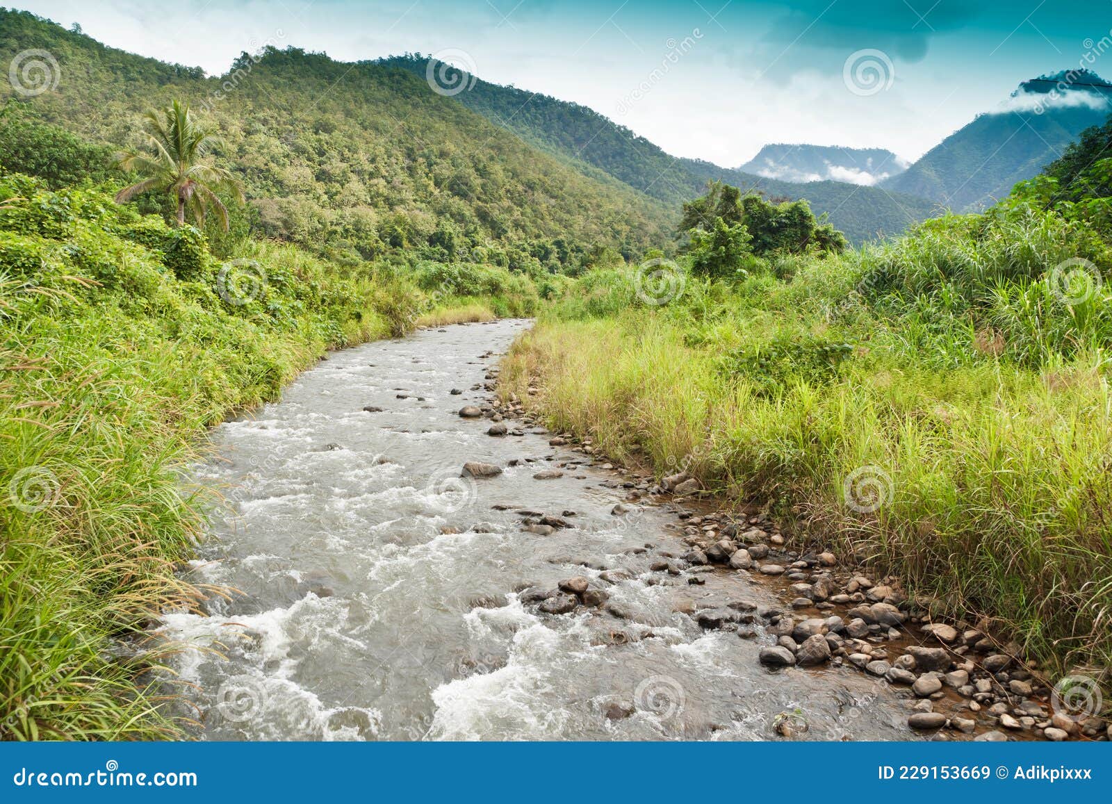 Natural streams stock image. Image of november, october - 229153669