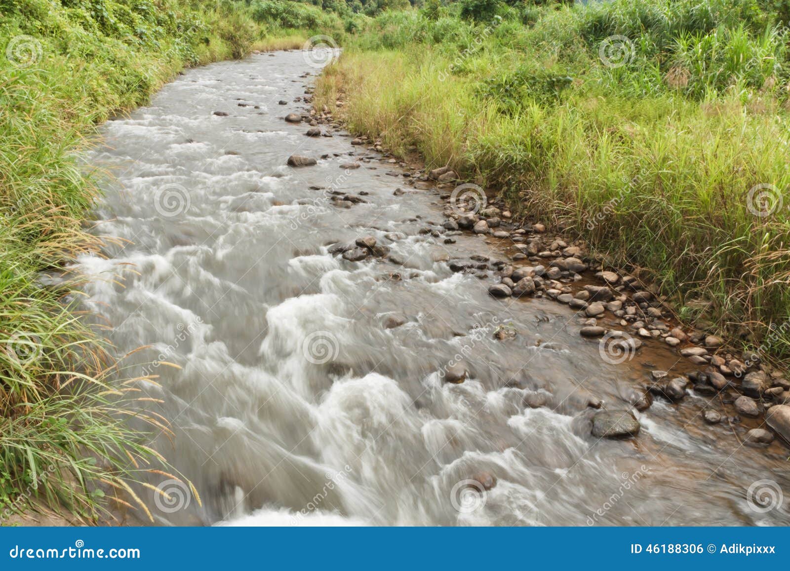 Natural streams. stock photo. Image of landscape, creek - 46188306