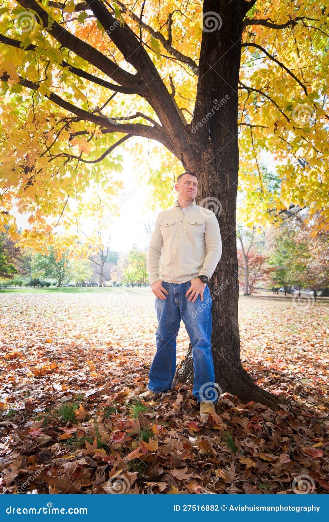 Natural Strength stock photo. Image of confident, copy - 27516882