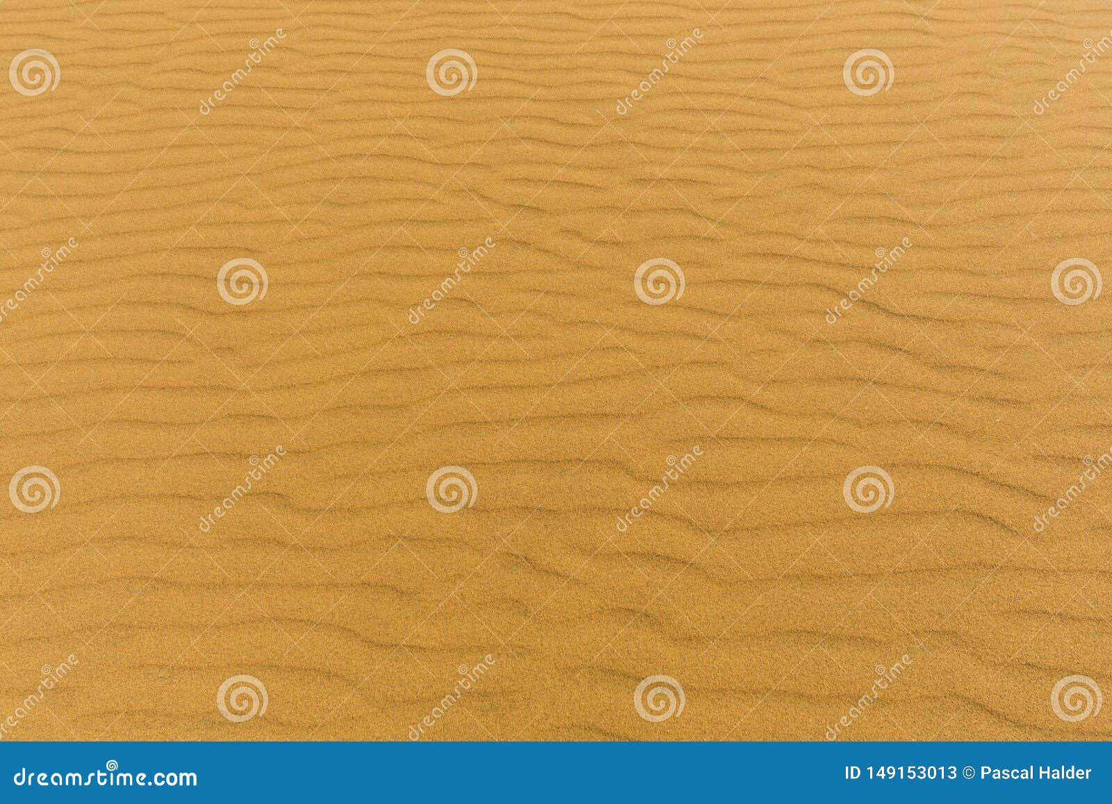 Natural Structure of Sand Dune in Namib Desert Stock Image - Image of ...