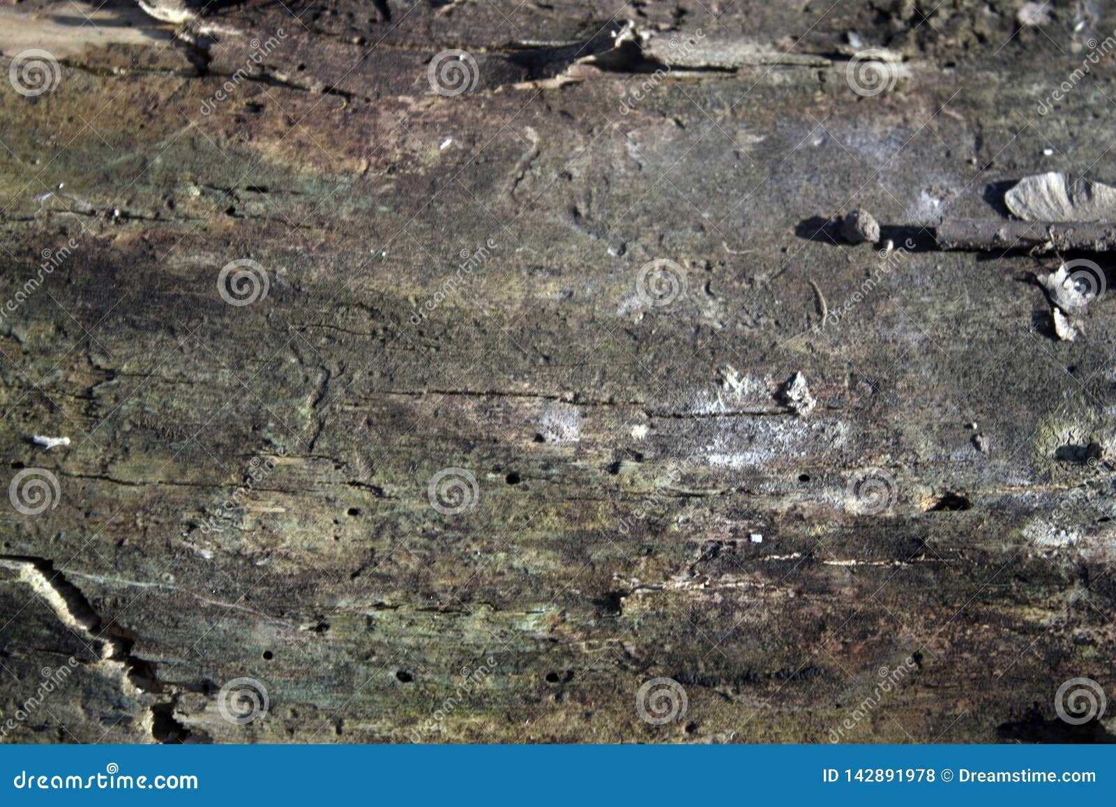 NATURAL STRUCTURES - TEXTURE Stock Photo - Image of material, paint ...
