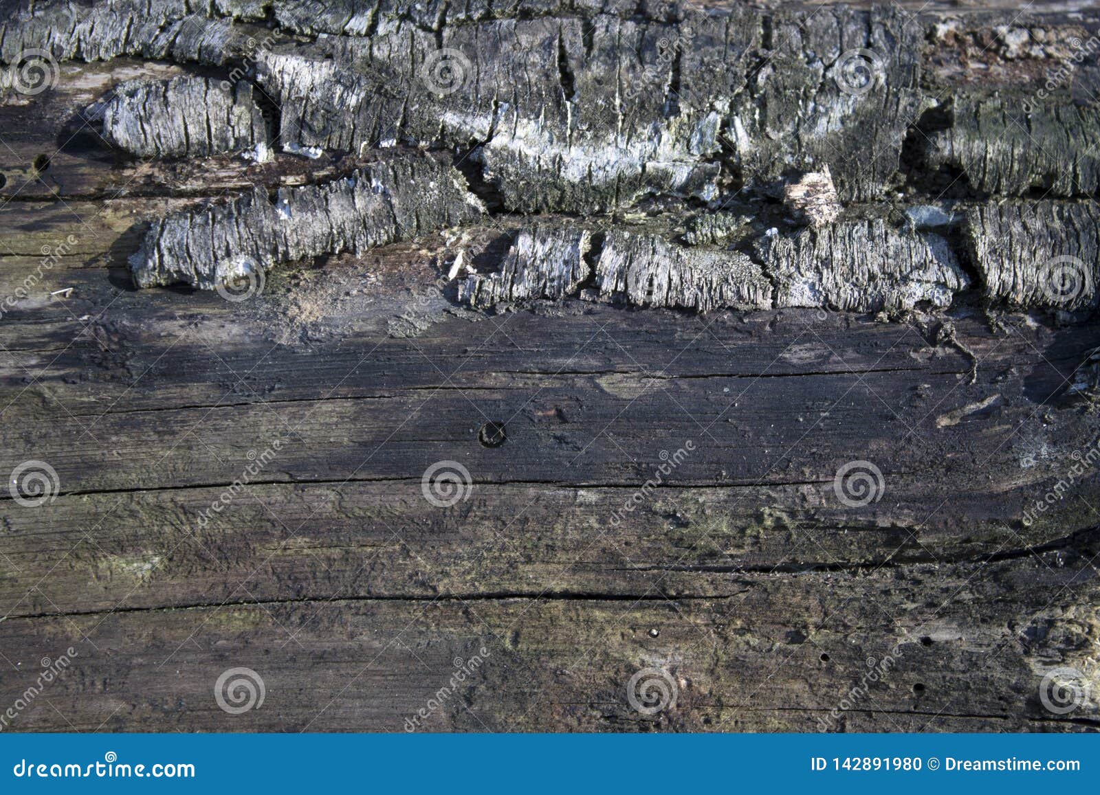 NATURAL STRUCTURES - TEXTURE Stock Photo - Image of rexture, passage ...