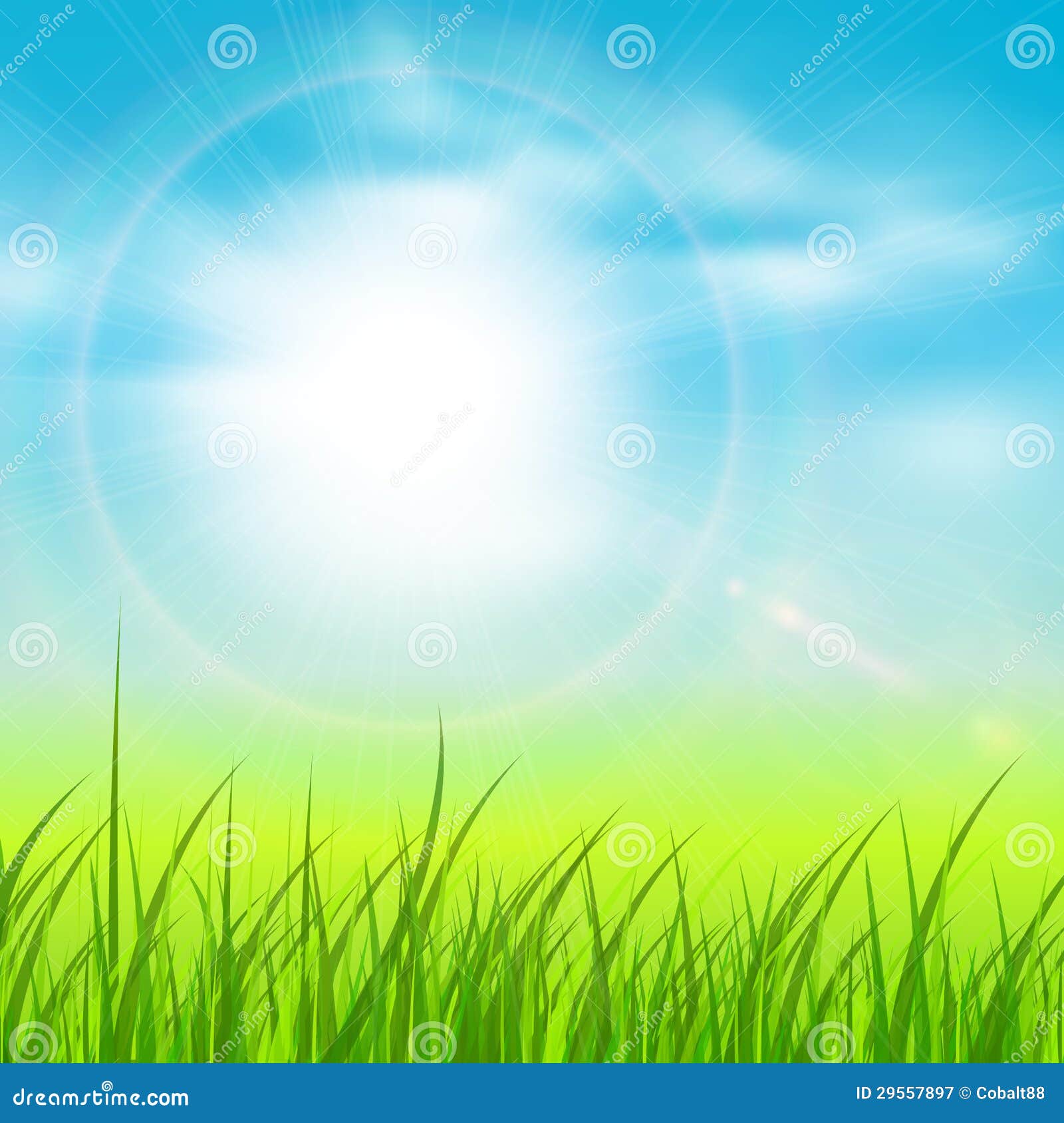 Natural sunny background stock vector. Illustration of beautiful - 29557897