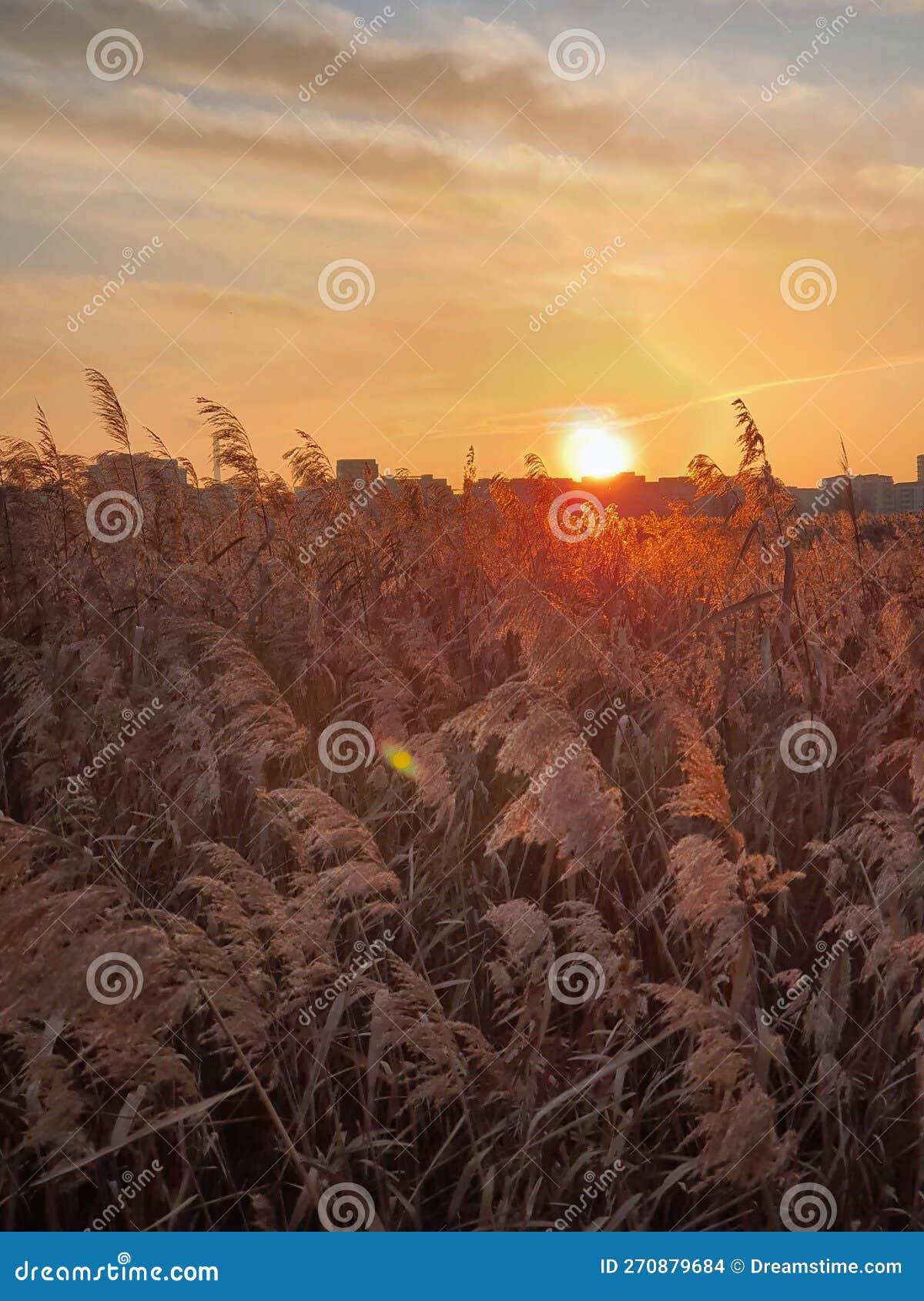Natural Sunset Over the Field Stock Photo - Image of prairie, autumn ...