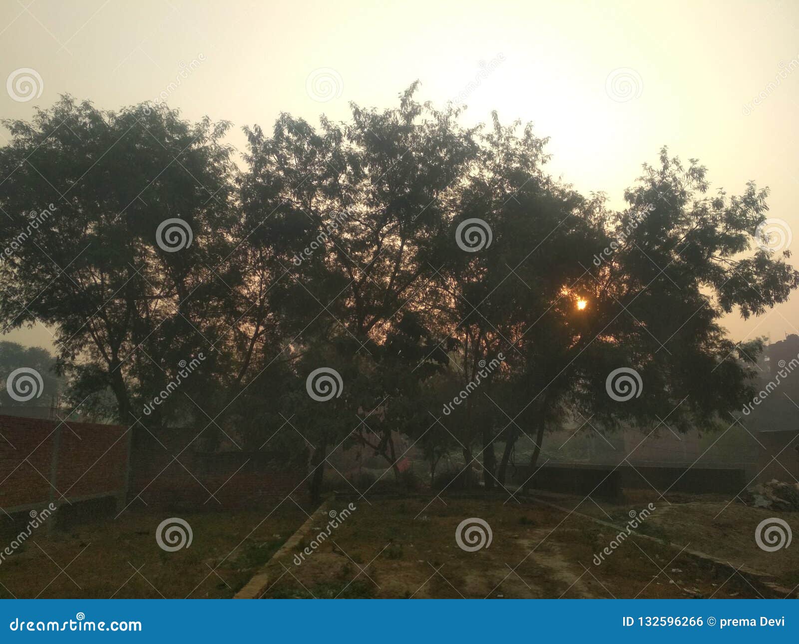 Natural stock photo. Image of sunshine, natural, morning - 132596266