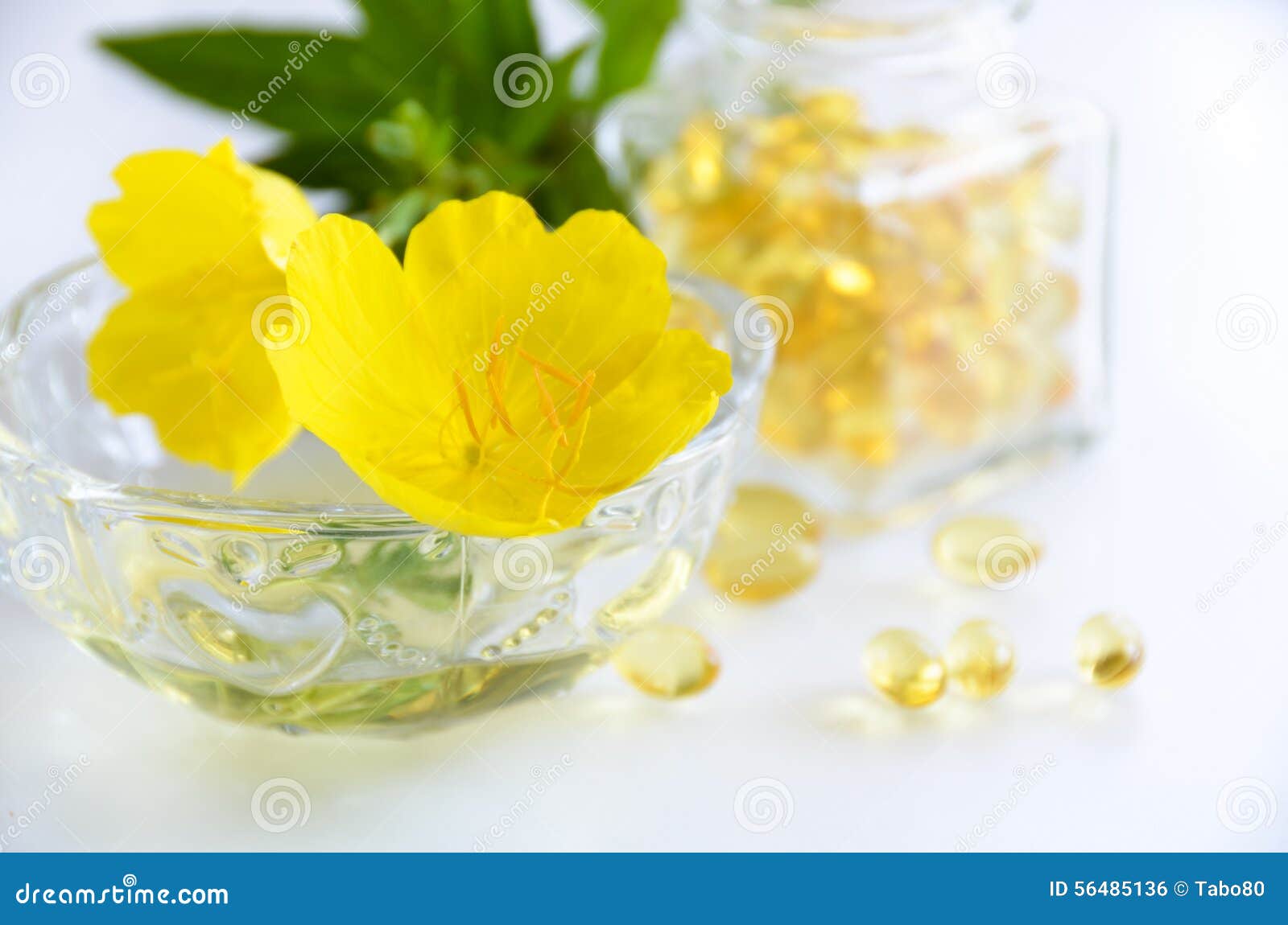 Natural Supplement with Evening Primrose Stock Photo - Image of ...