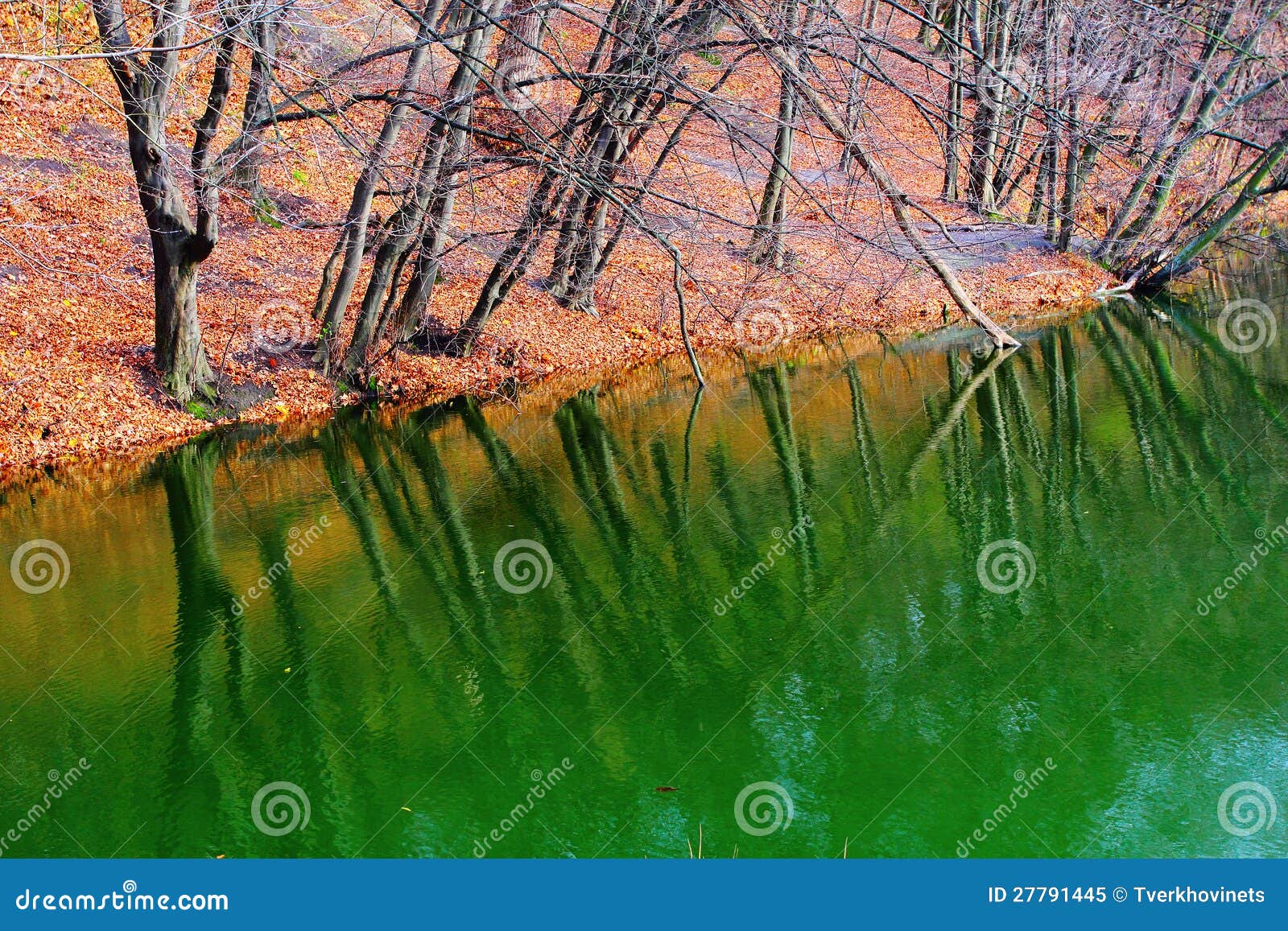 Beautiful Symmetry Stock Photo | CartoonDealer.com #58805124