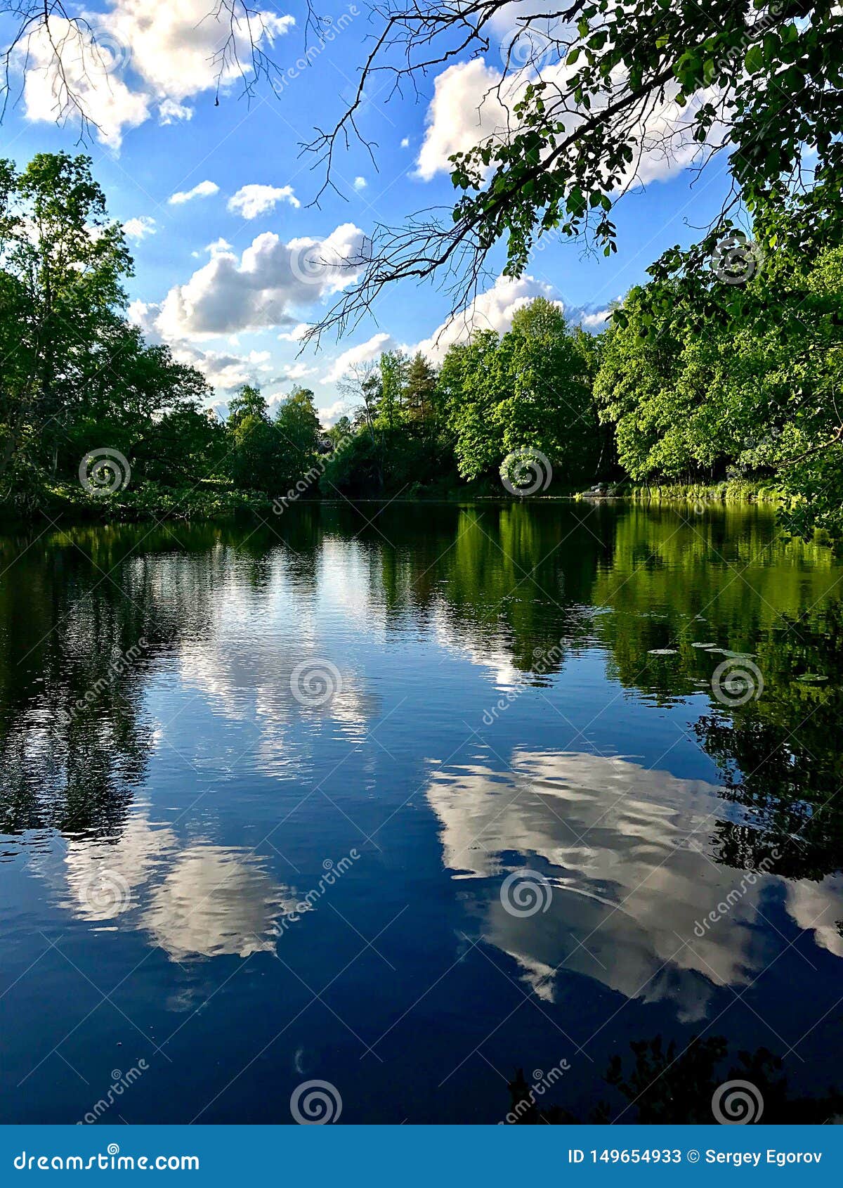 Natural symmetry stock image. Image of natural, trees - 149654933