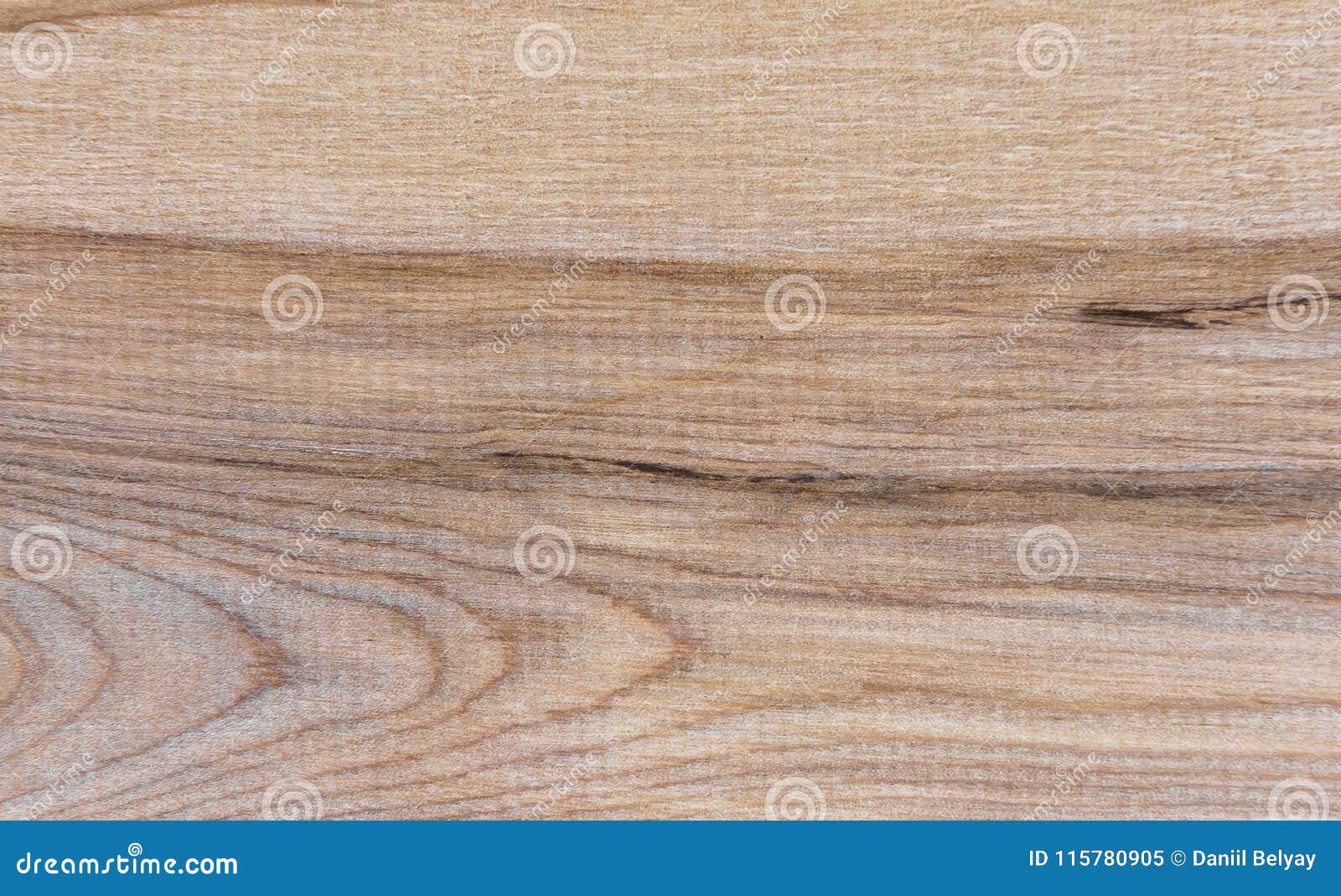 Natural Taiga Birch Wood Grain Texture Pattern Background Stock Image ...