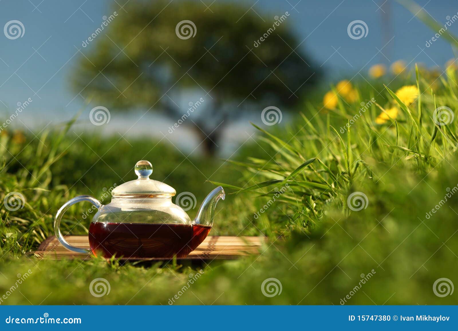 Natural tea stock photo. Image of landscape, relax, brew - 15747380