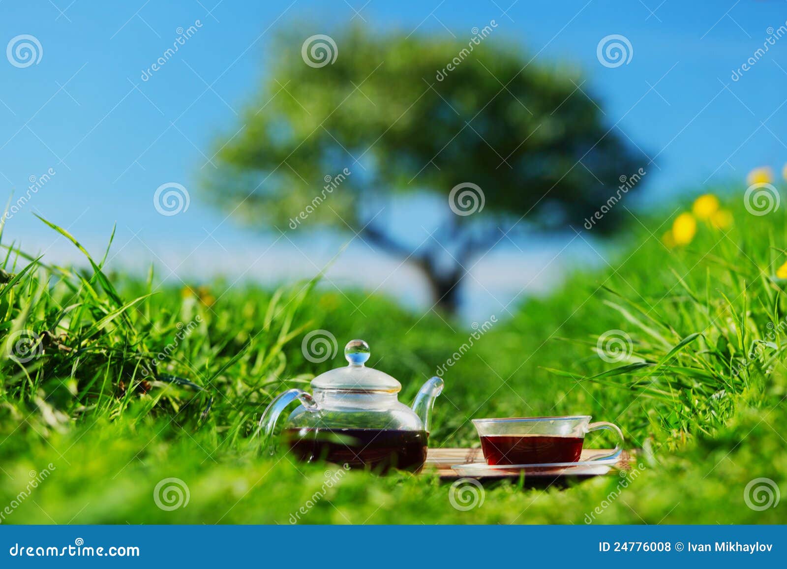 Natural tea stock photo. Image of drop, background, luncheon - 24776008