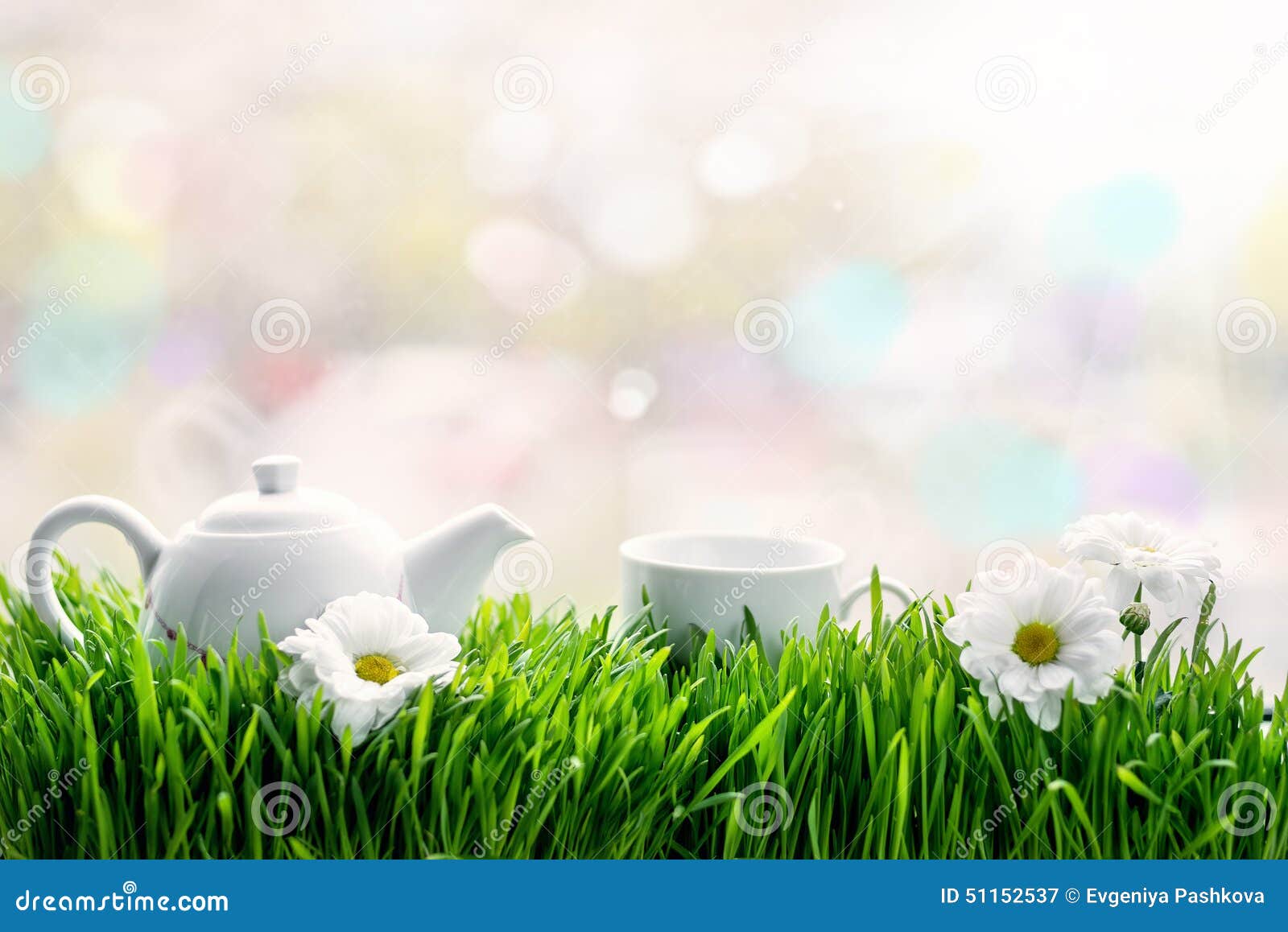 Natural tea on green grass stock image. Image of brew - 51152537