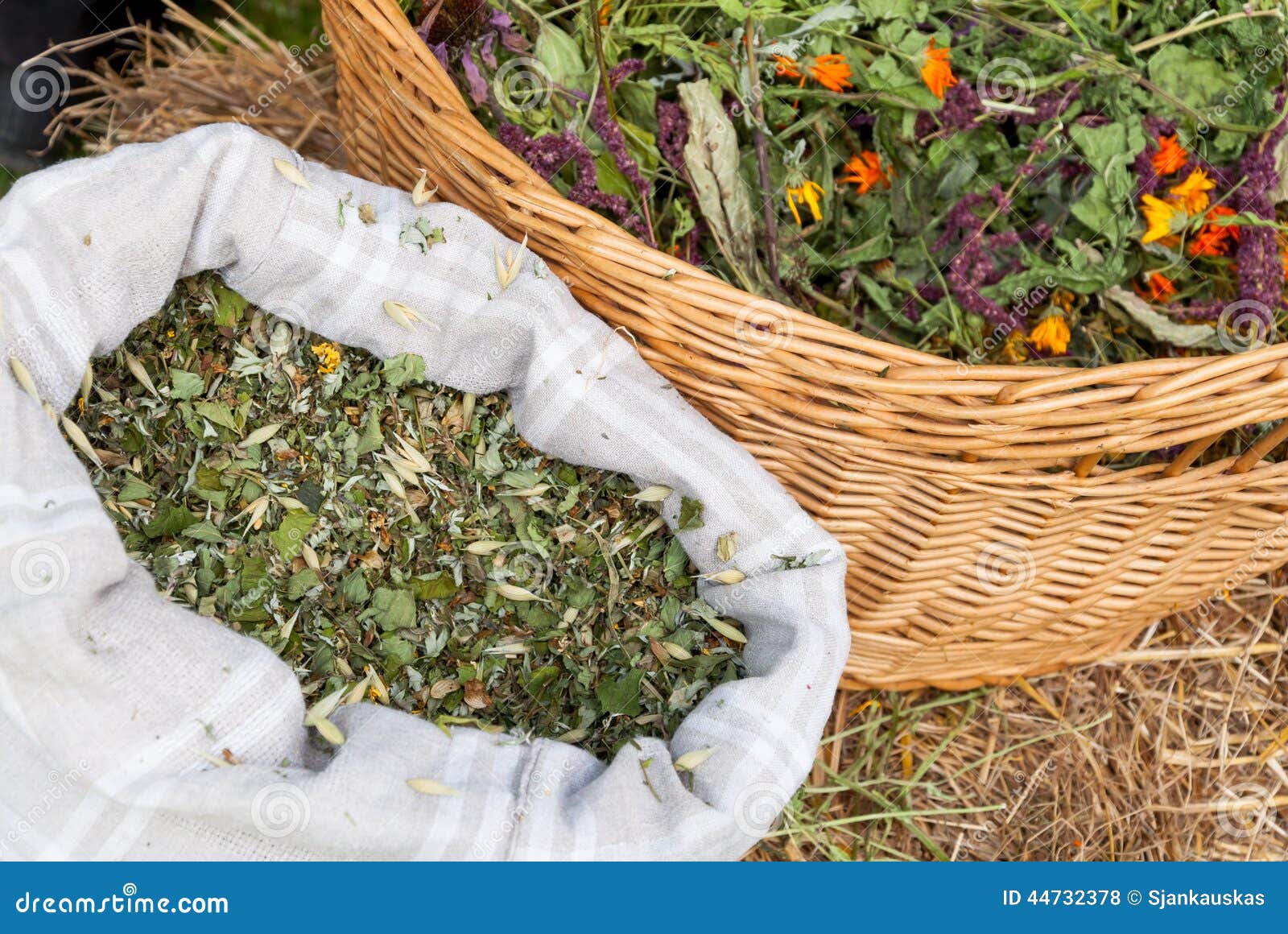 Natural tea herbs stock photo. Image of botany, herbs - 44732378