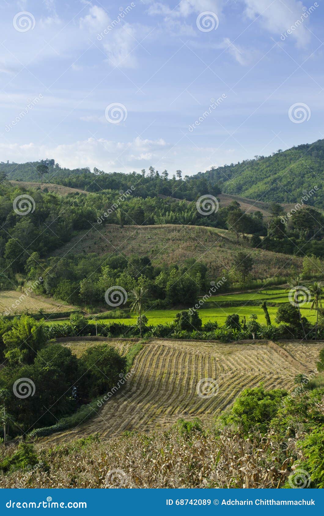 Natural Terrace with Mountain and Sky Backdrop Stock Image - Image of ...