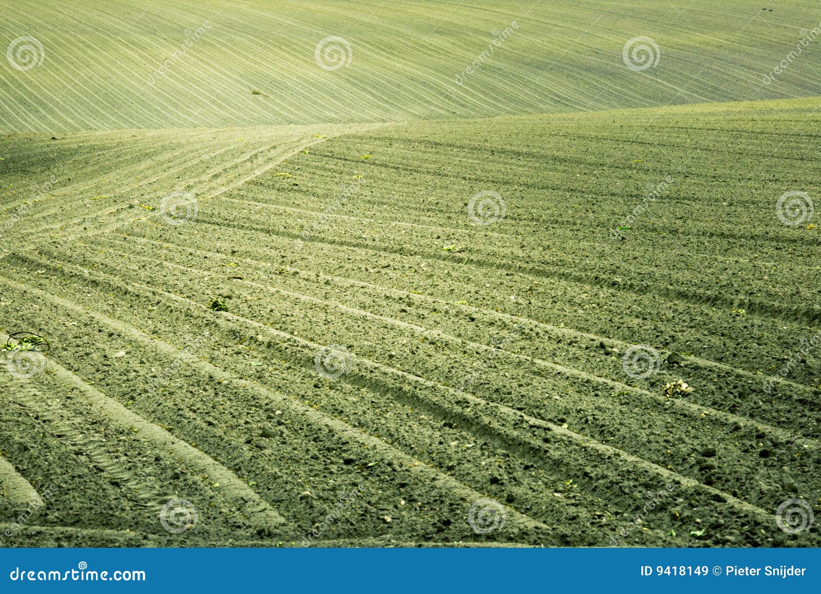 Natural Texture stock image. Image of tones, texture, agriculture - 9418149