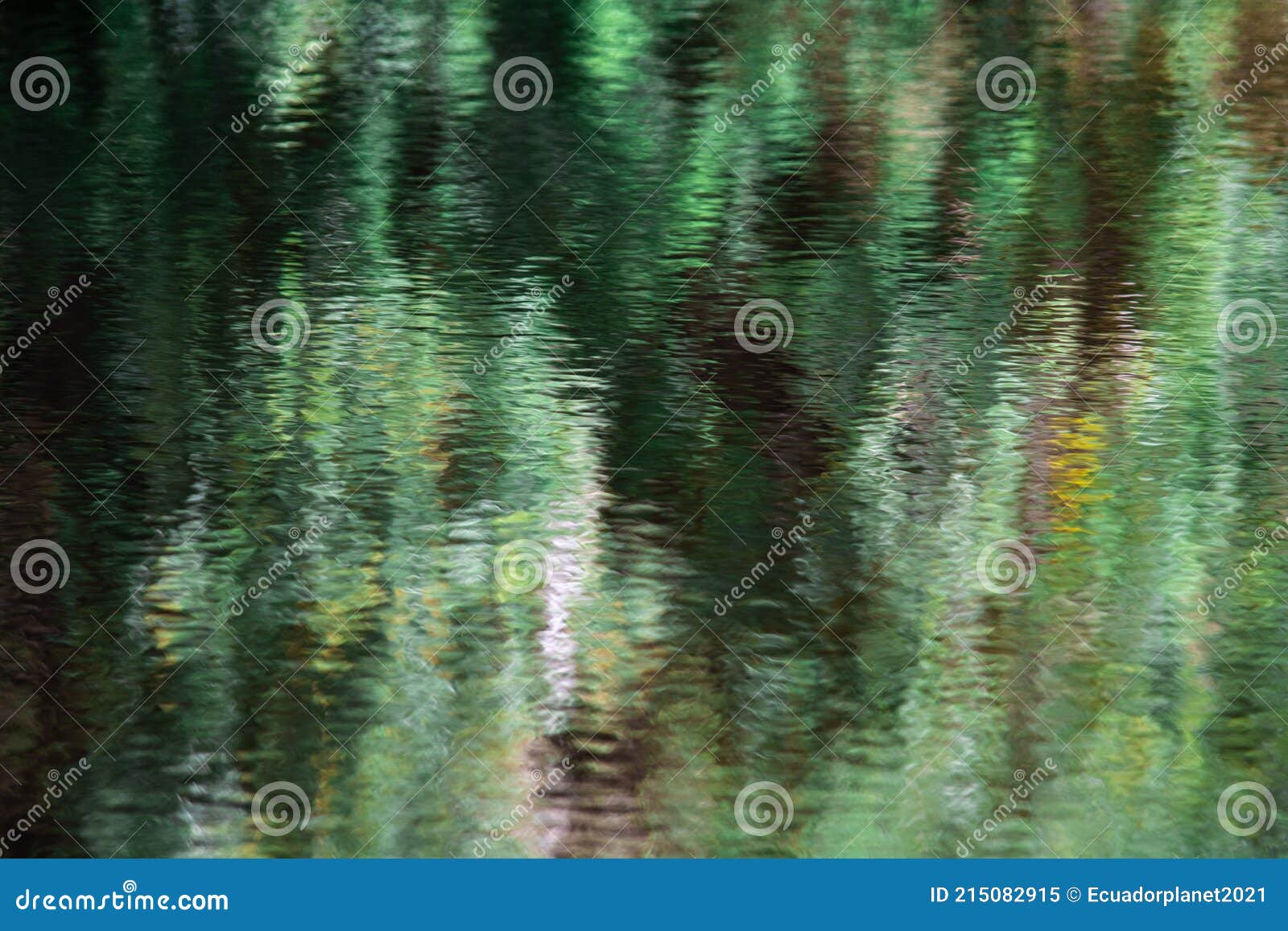Natural Texture, Clean Water of the Lake Stock Image - Image of branch ...