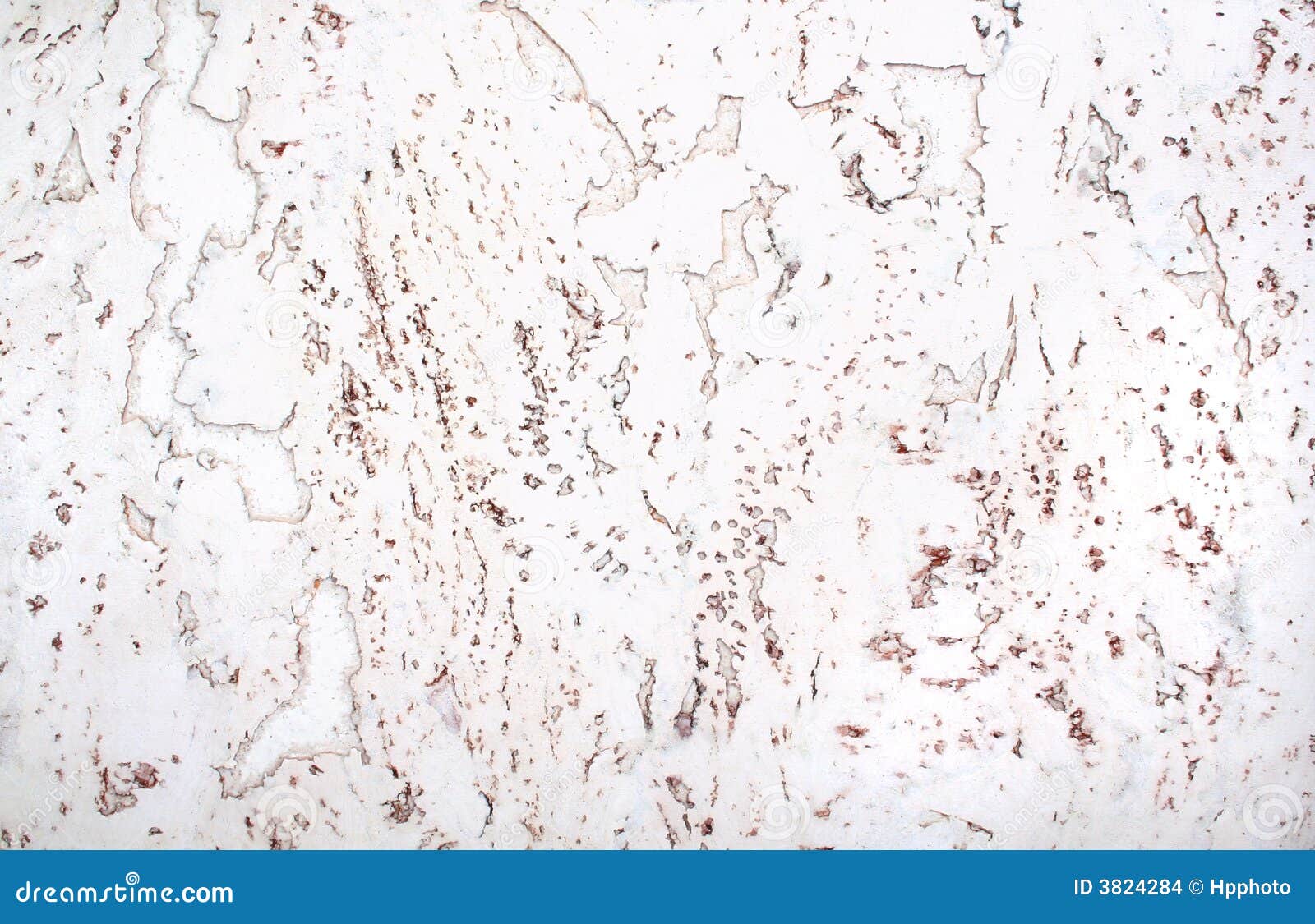 Natural texture cork stock photo. Image of skin, cork - 3824284