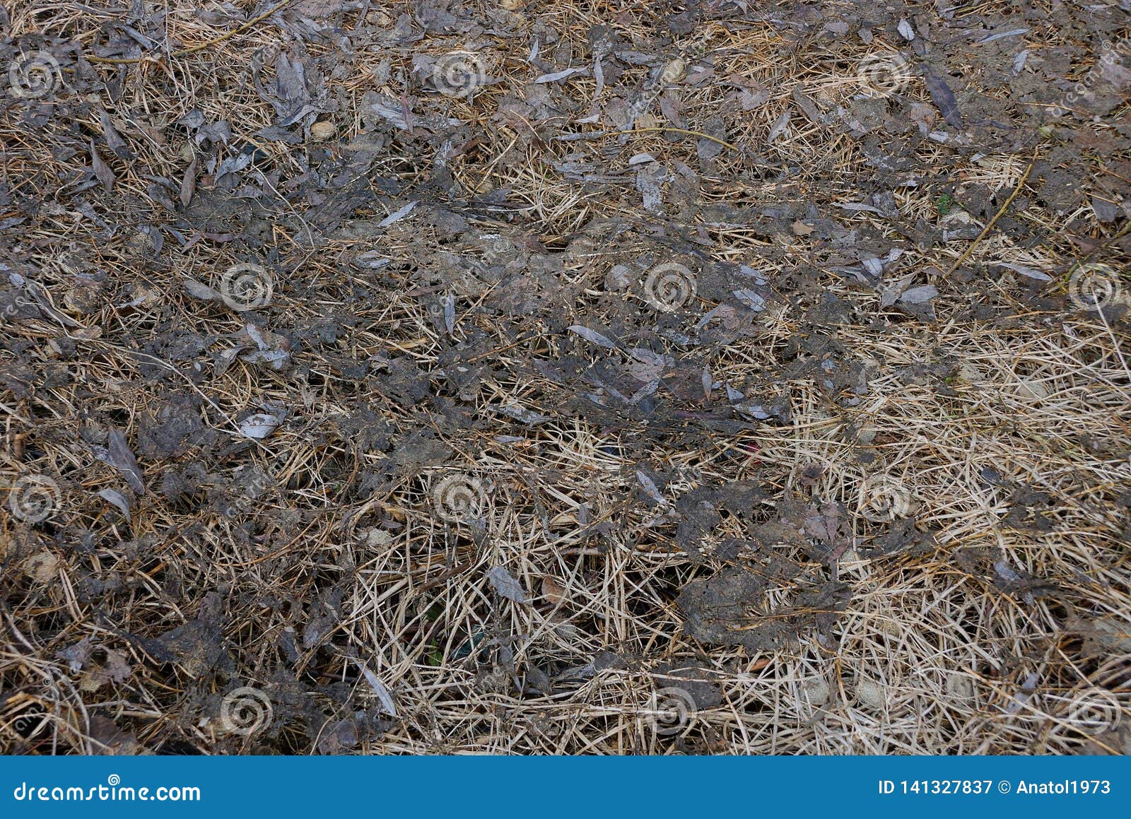 Natural Texture of Dry Grass and Leaves Stock Image - Image of color ...