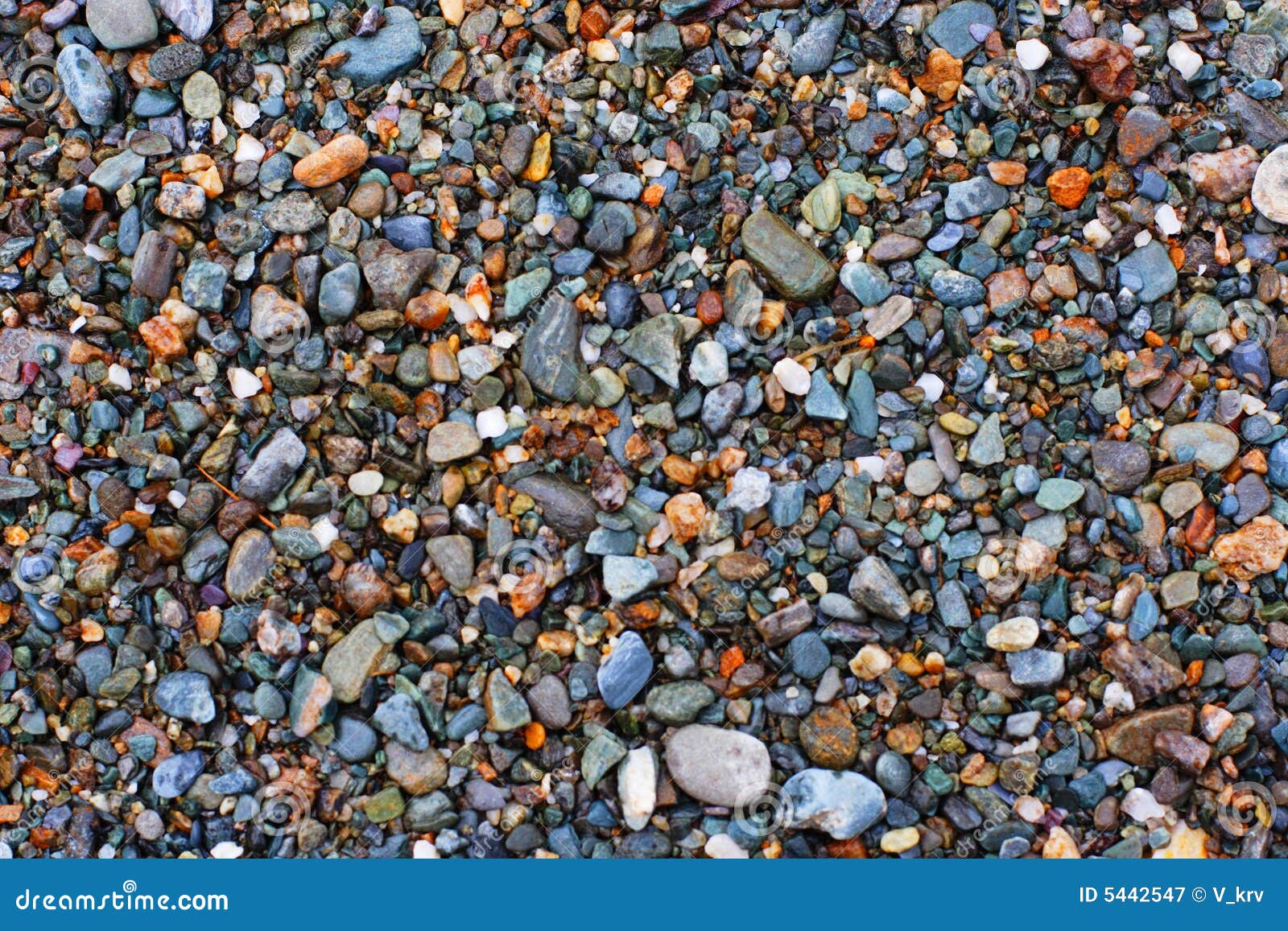 Natural Texture. Pebbles. Variant One. Stock Image - Image of nature ...