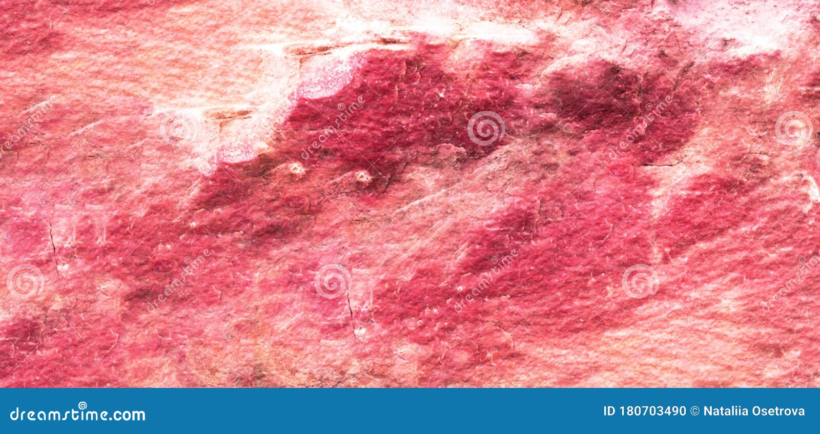 The Natural Texture of the Stone Coral Color. the Concept of Natural ...