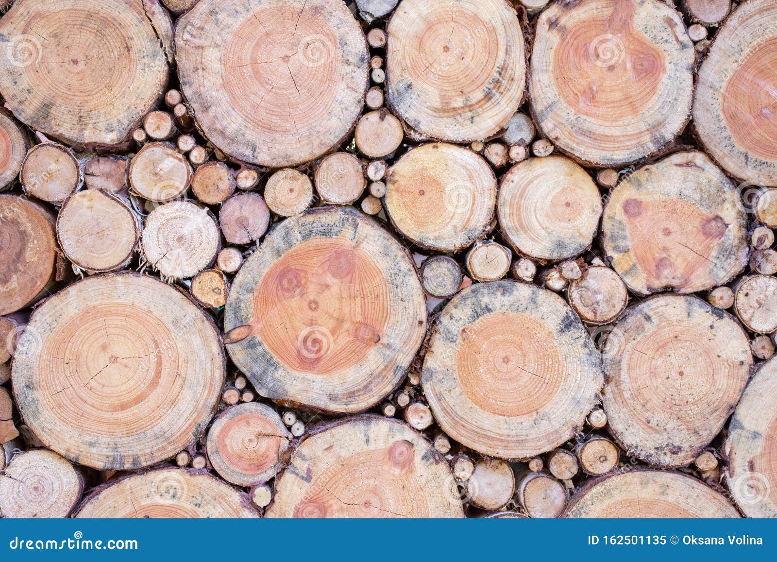 Natural Texture of Tree Felling. the Original Design of the Wall of the ...