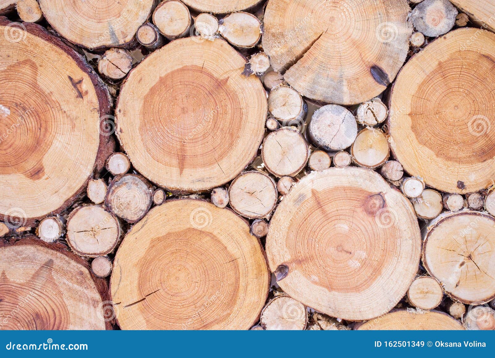 Natural Texture of Tree Felling. the Original Design of the Wall of the ...