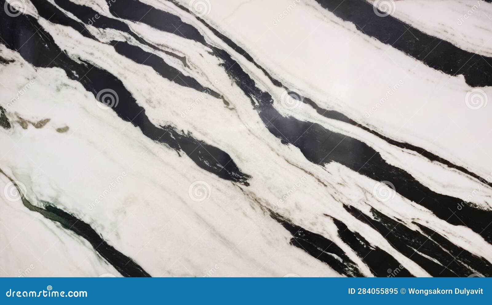 Natural Texture of White Marble with Black Veins Pattern. Italian Black ...