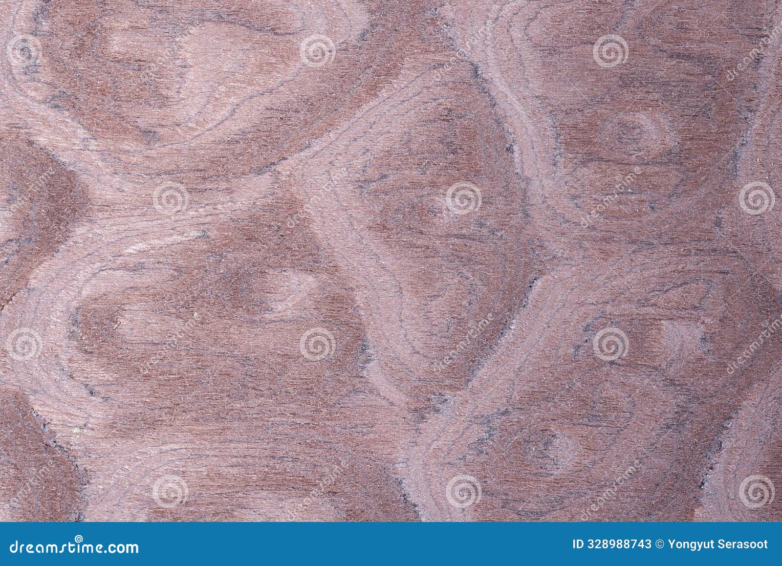 Natural Textures, Patterns and Tree Bark Colors Stock Image - Image of ...