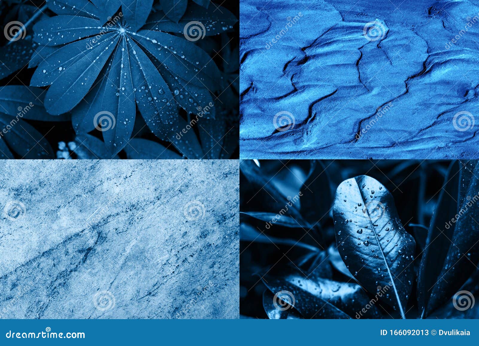 Natural Textures of Plants and Materials Stock Image - Image of ...