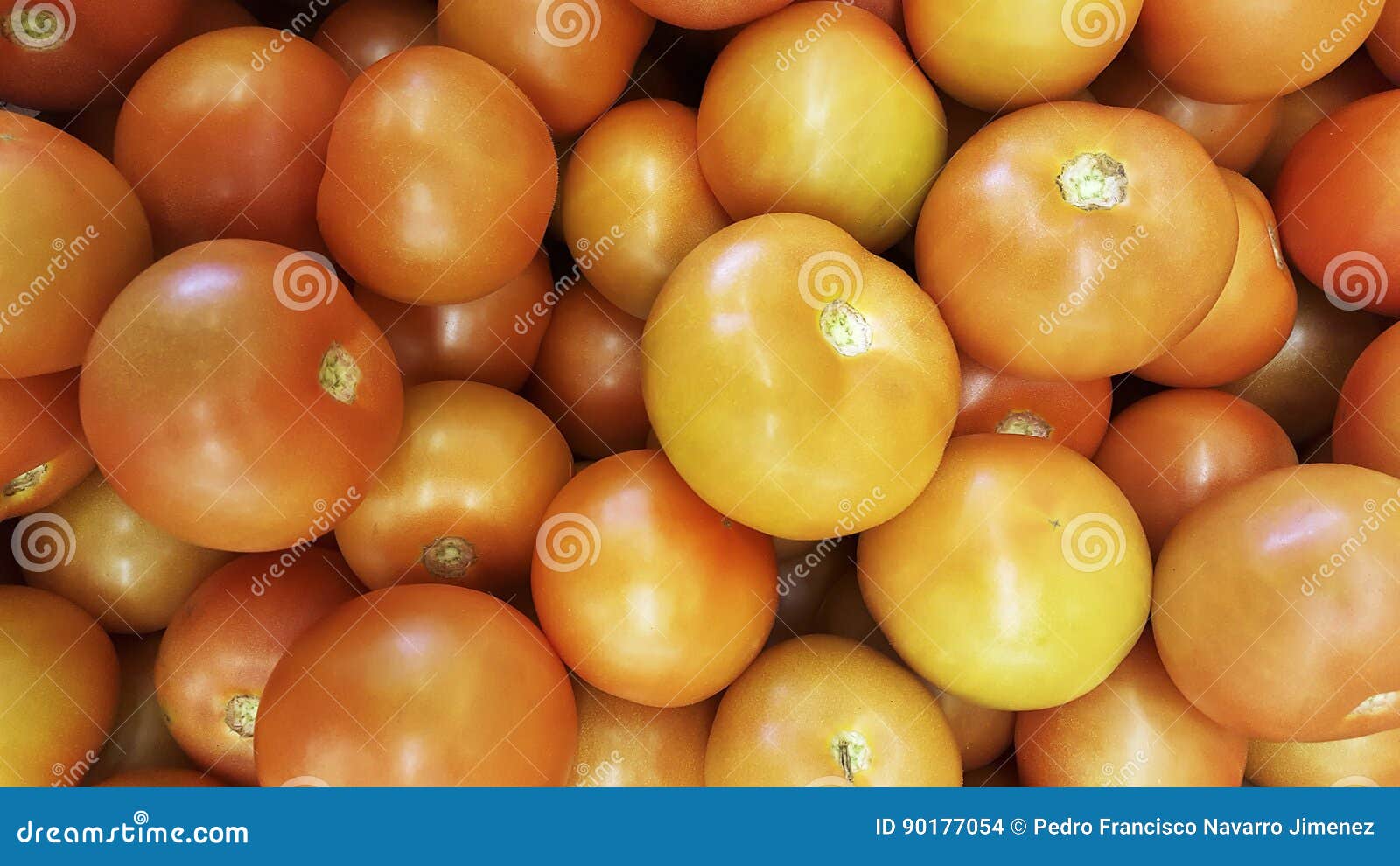 Natural Tomatoes Tomates Naturales Stock Photo - Image of isolated ...