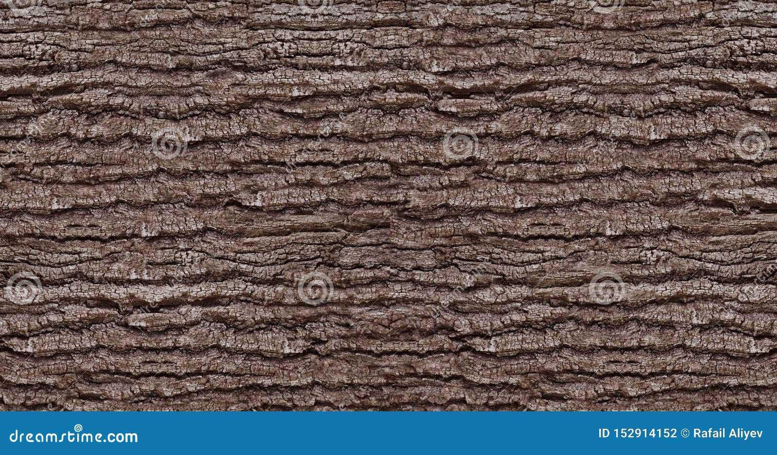 The Texture Of The Tree On The Cut Of A Log Royalty-Free Stock Photo ...